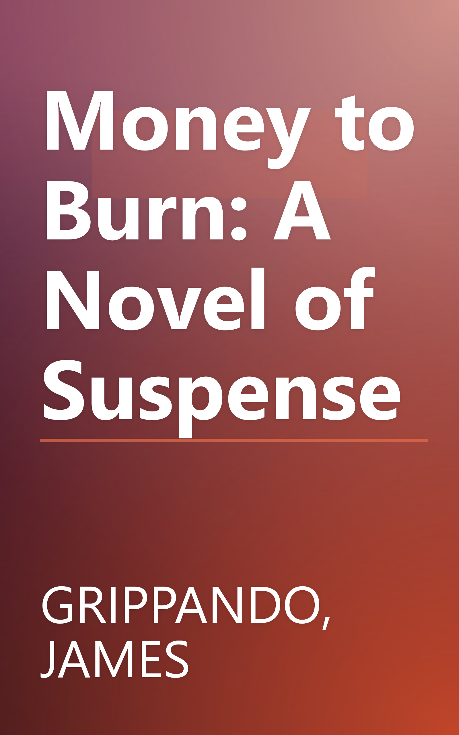 Money to Burn: A Novel of Suspense book cover