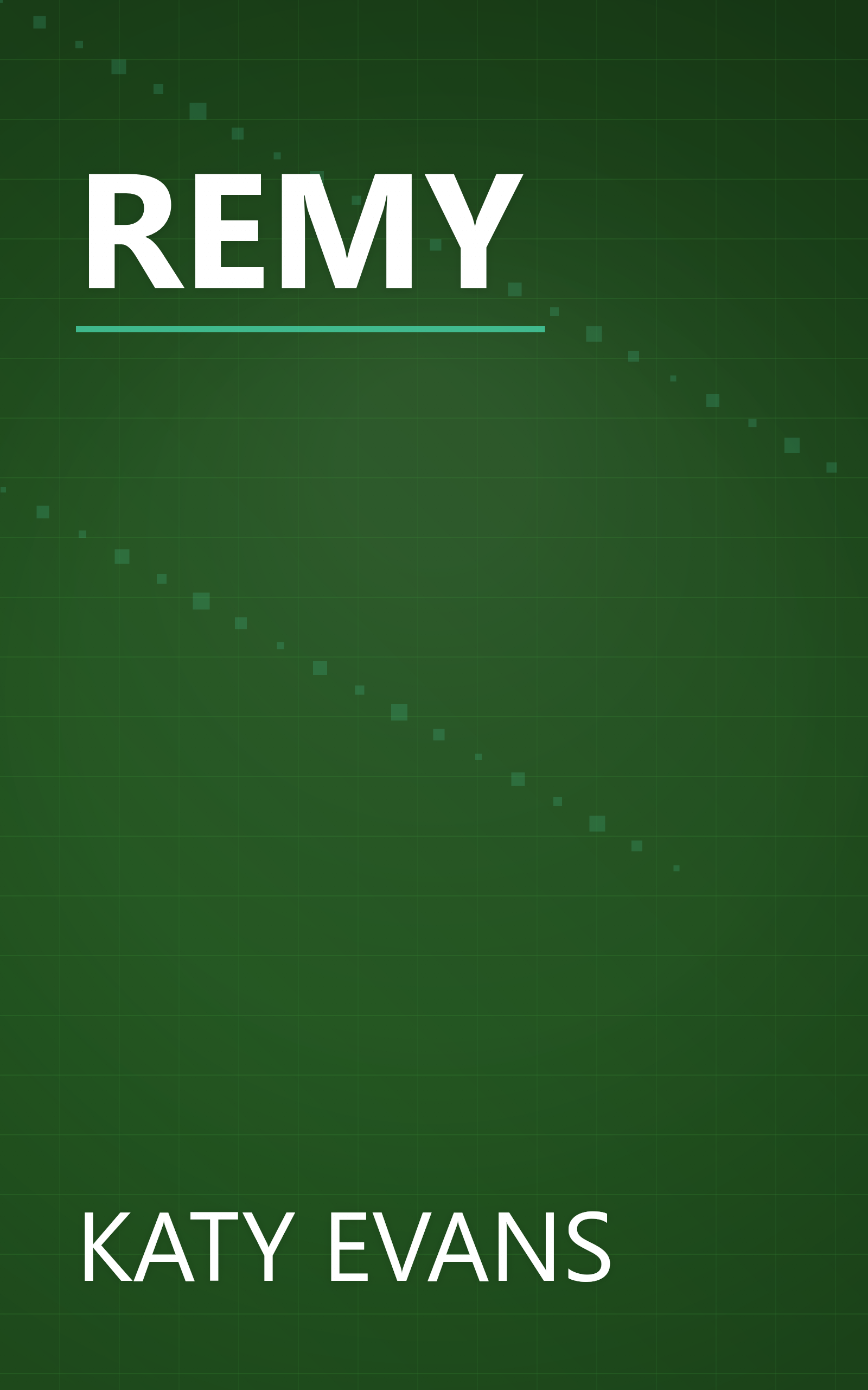 REMY book cover