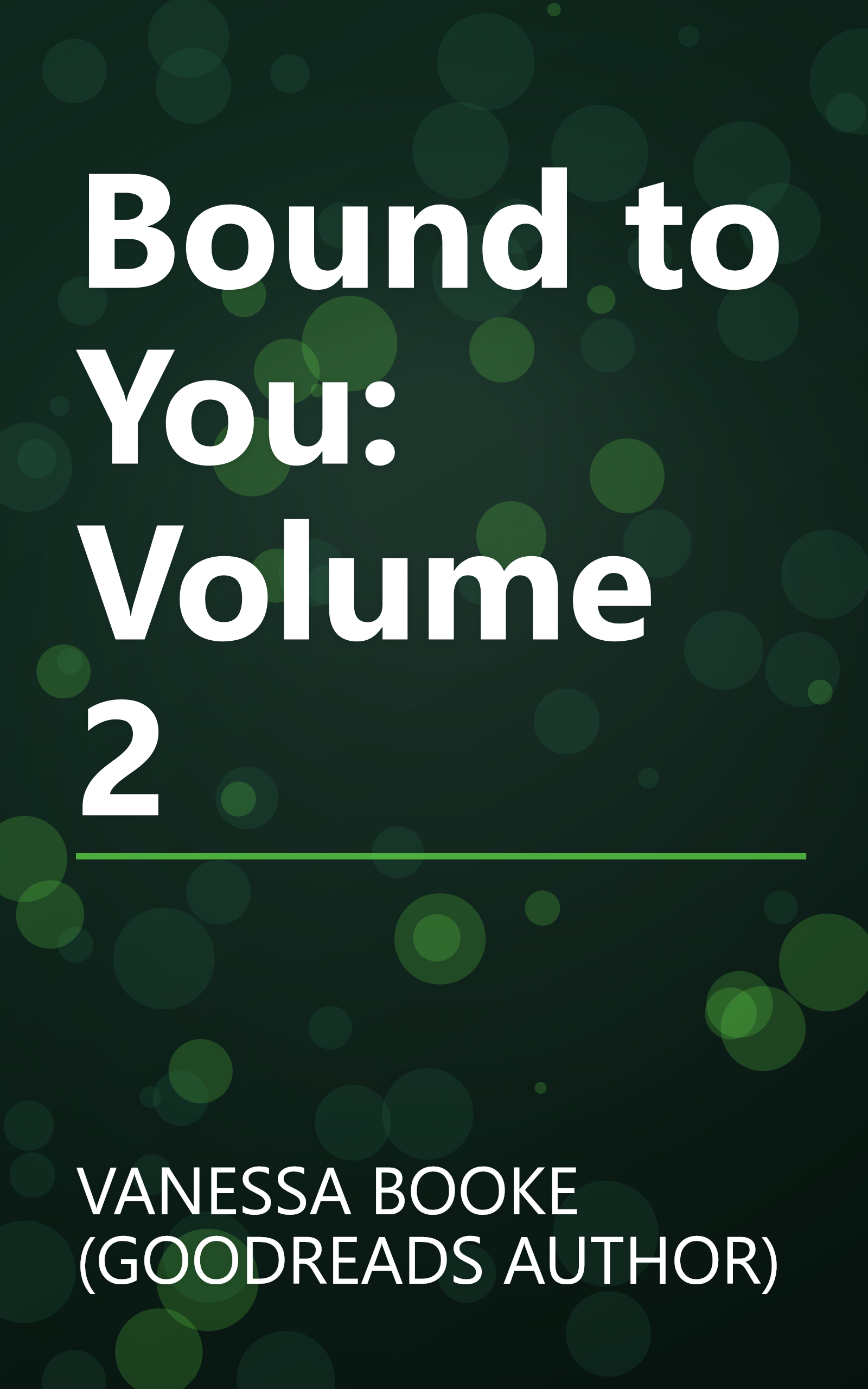Bound to You: Volume 2 book cover