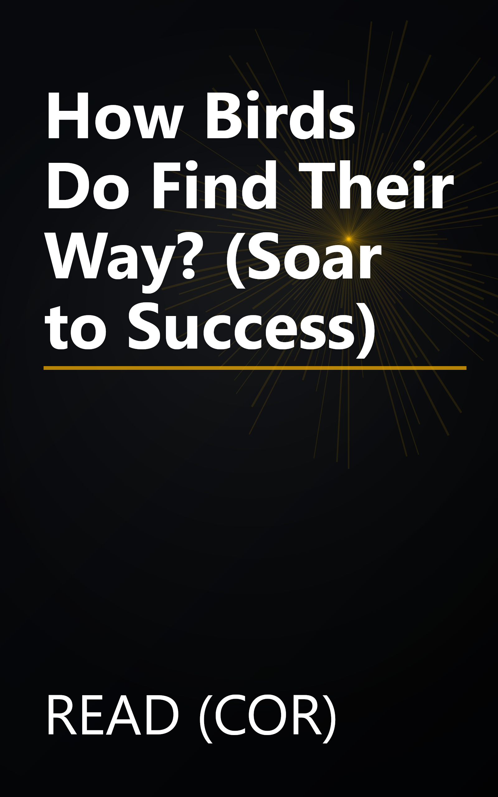 How Birds Do Find Their Way? (Soar to Success) book cover