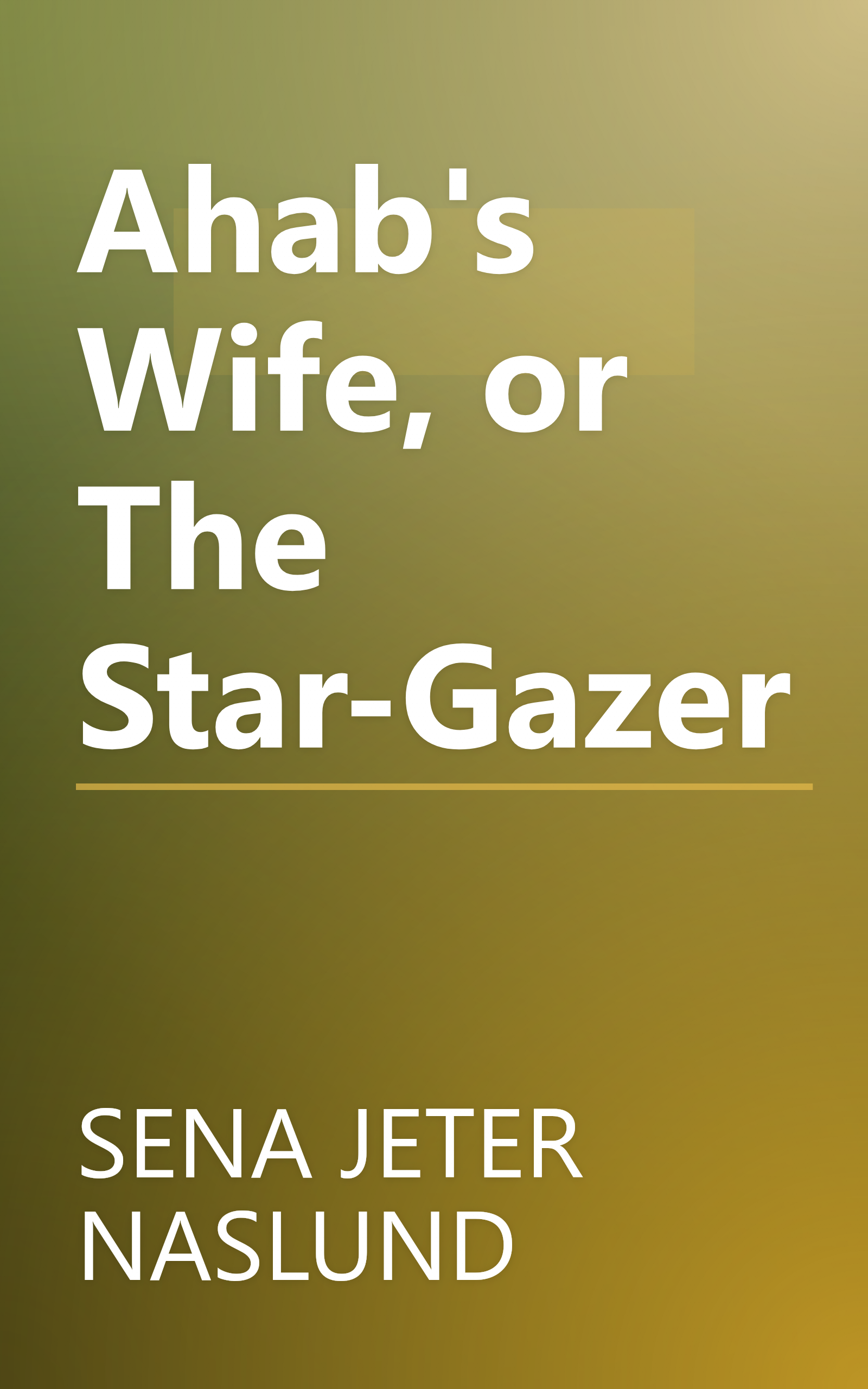 Ahab's Wife, or The Star-Gazer book cover