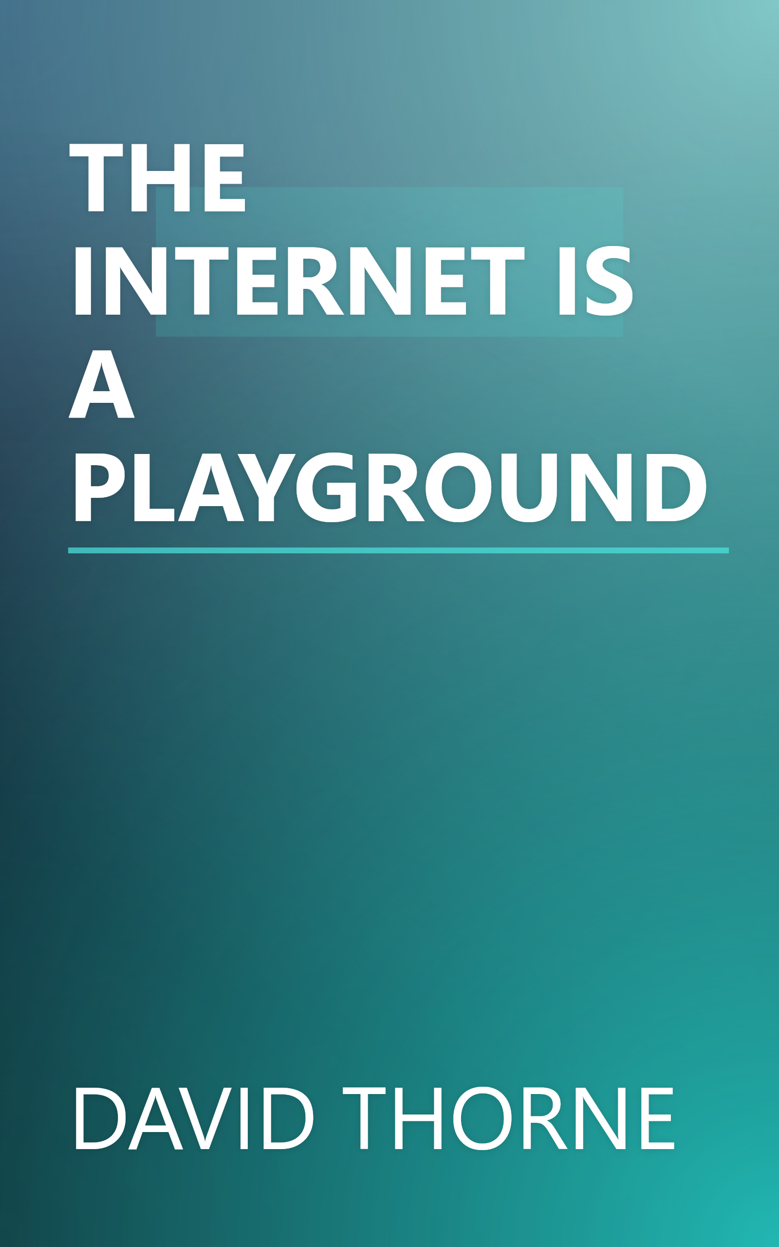 THE INTERNET IS A PLAYGROUND book cover