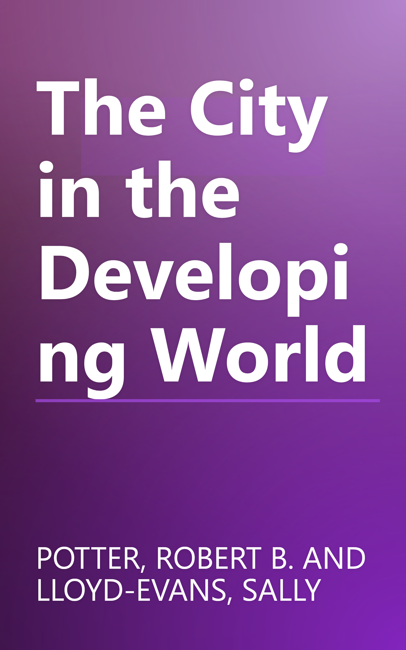 The City in the Developing World book cover