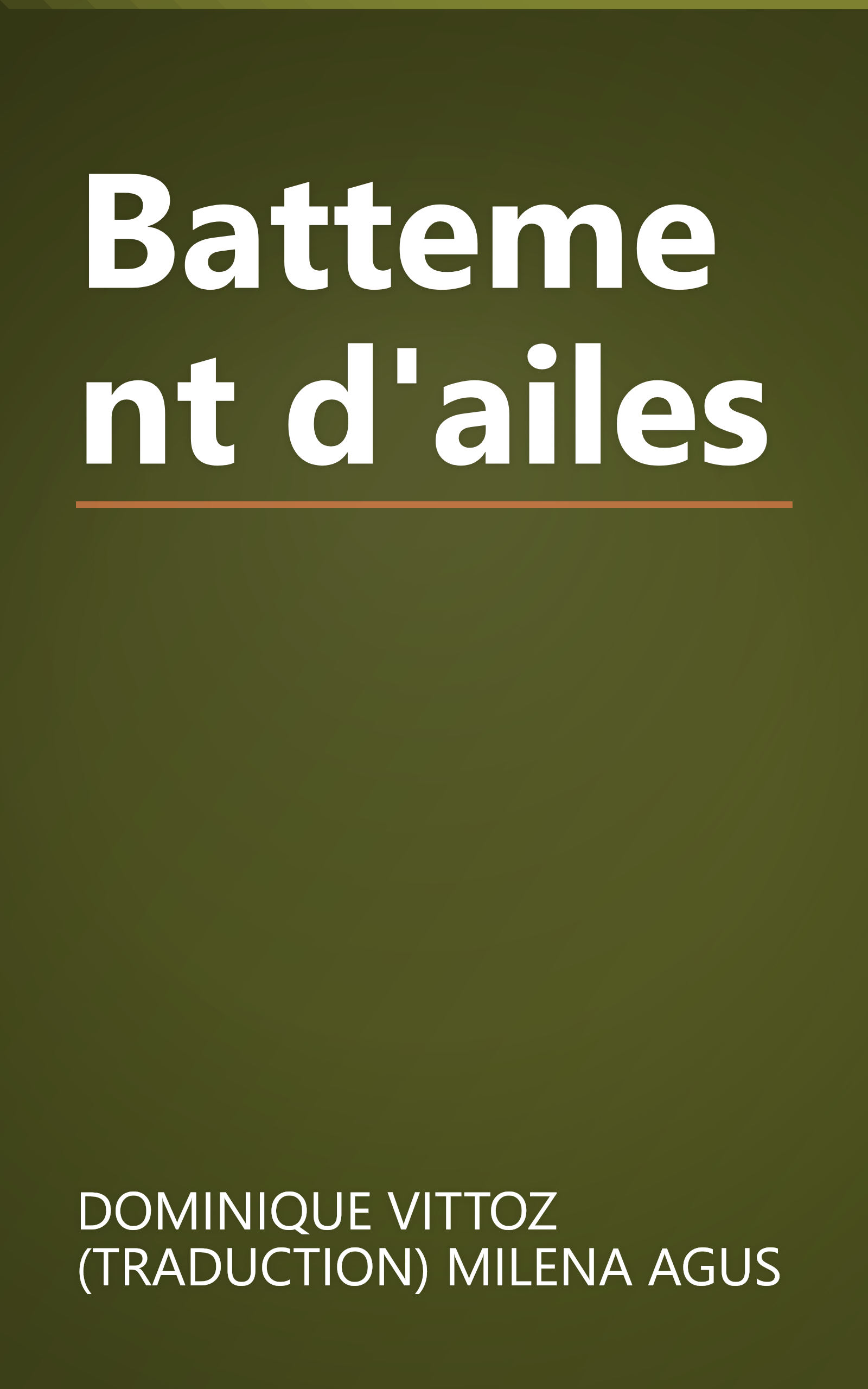 Battement d'ailes book cover