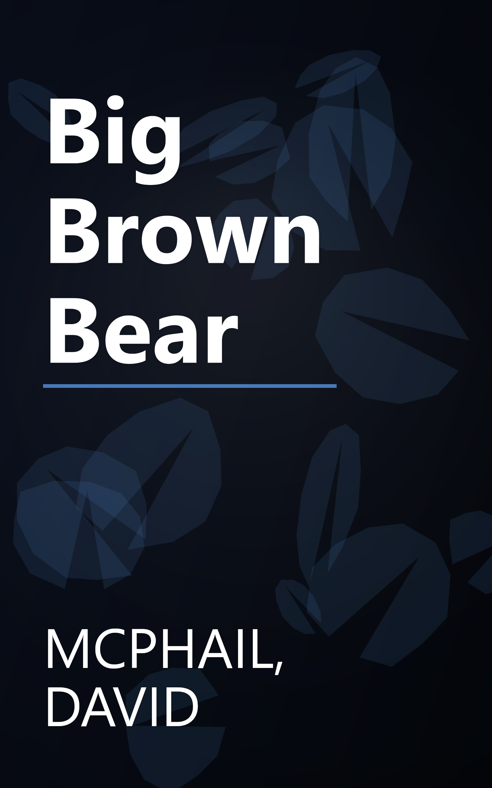 Big Brown Bear book cover