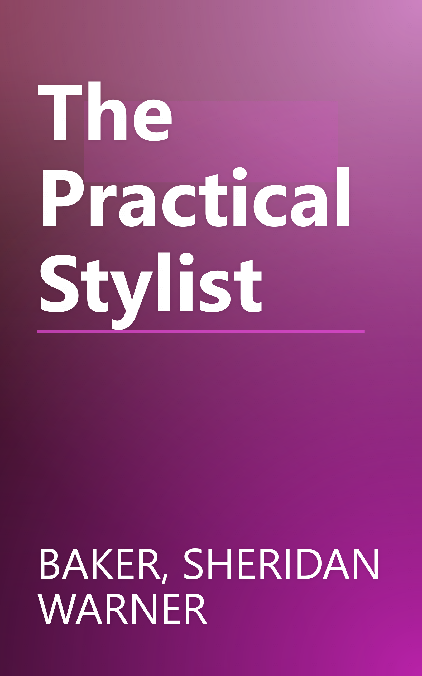 The Practical Stylist book cover