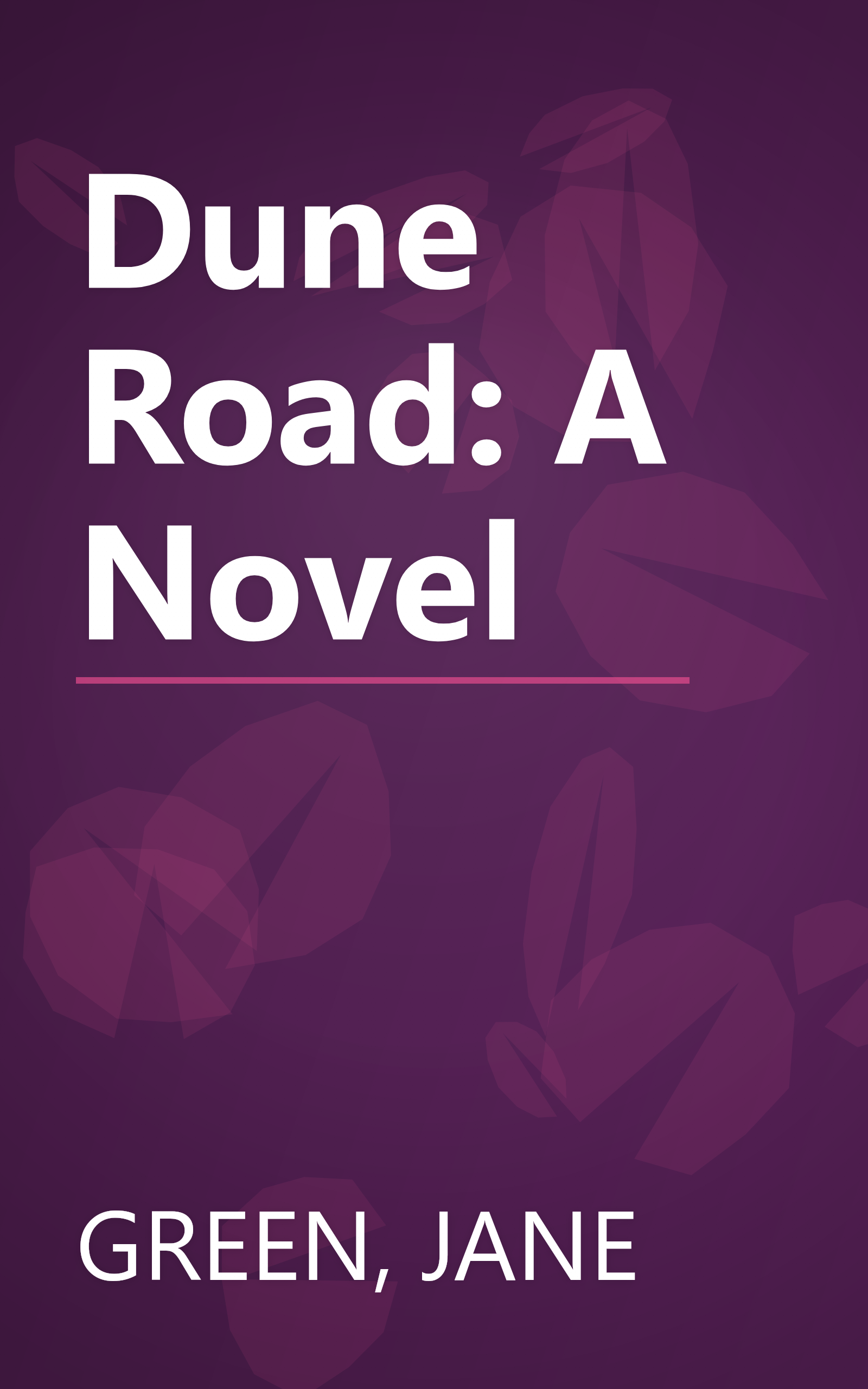 Dune Road: A Novel book cover