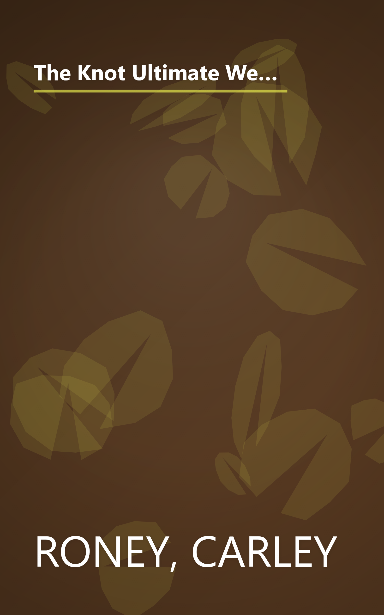 The Knot Ultimate Wedding Planner: Worksheets, Checklists, Etiquette, Calendars, and Answers to Frequently Asked Questions book cover