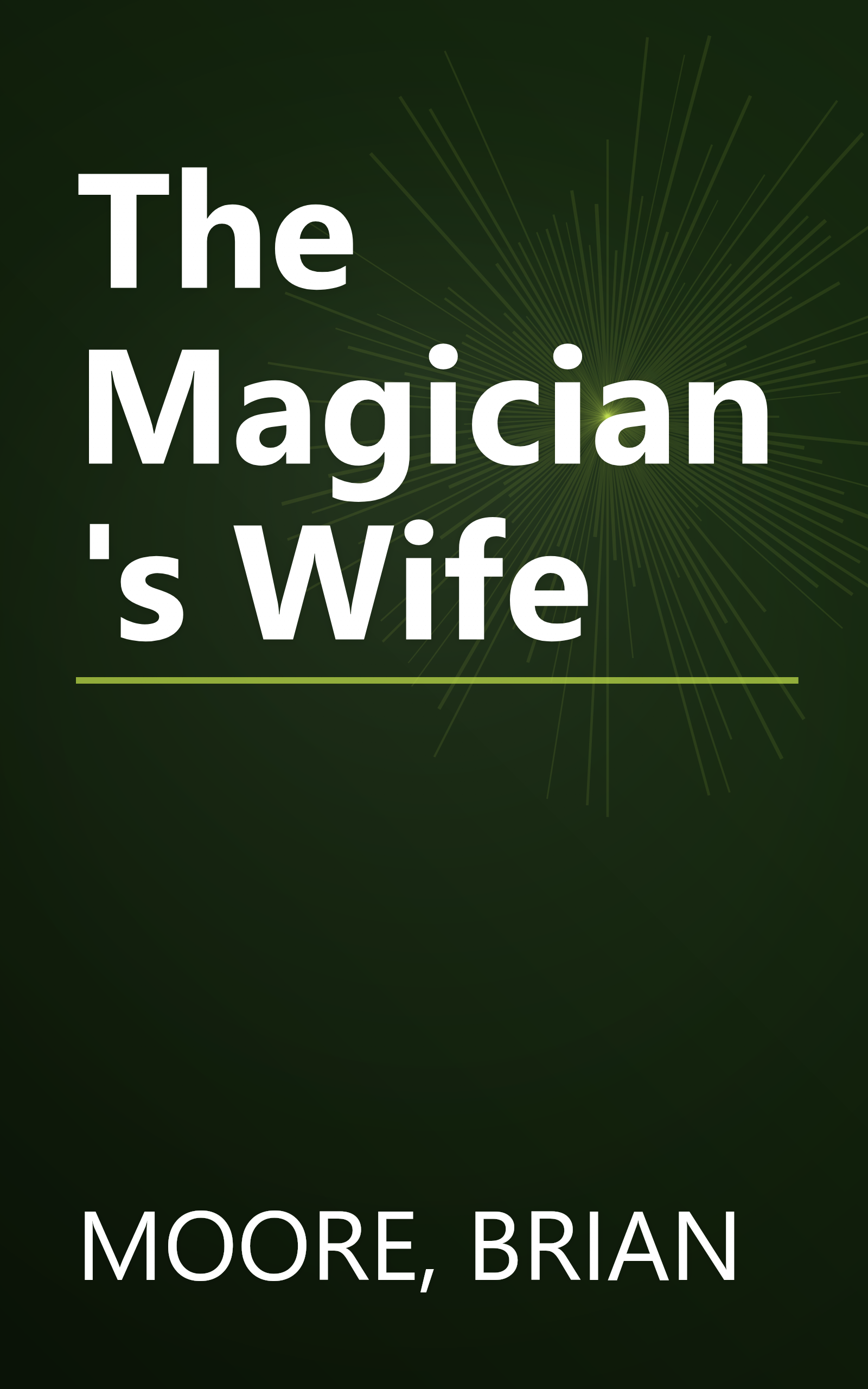 The Magician's Wife book cover