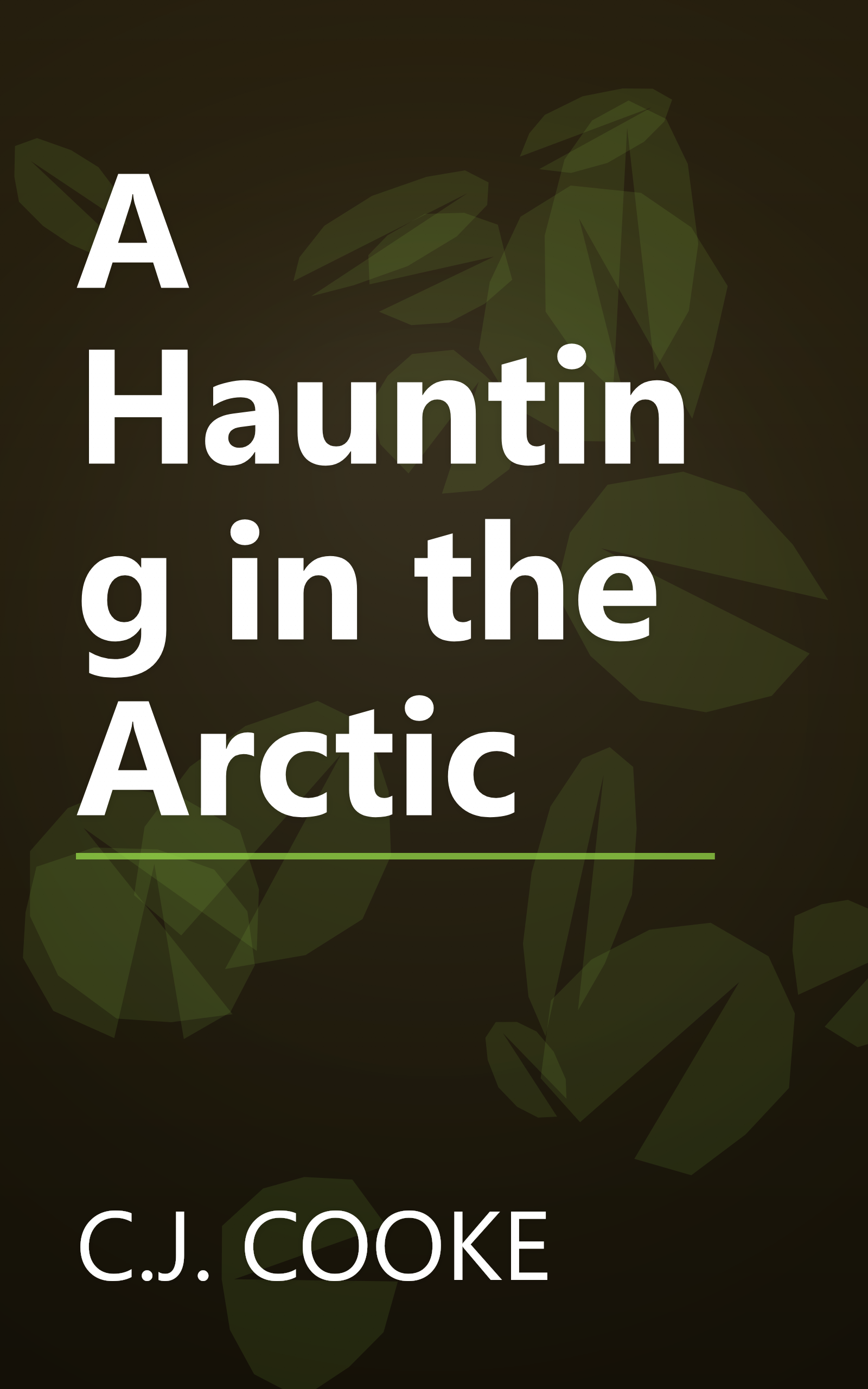 A Haunting in the Arctic book cover