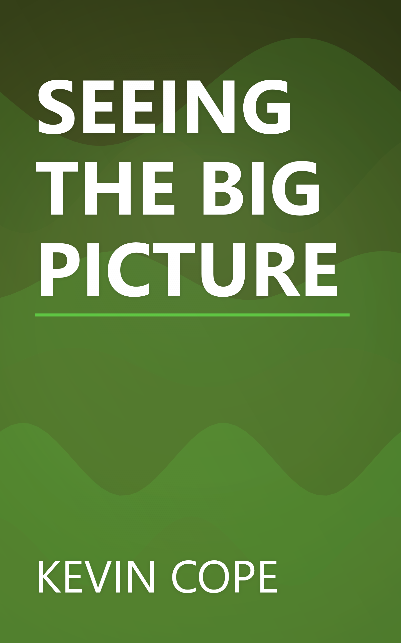 SEEING THE BIG PICTURE book cover