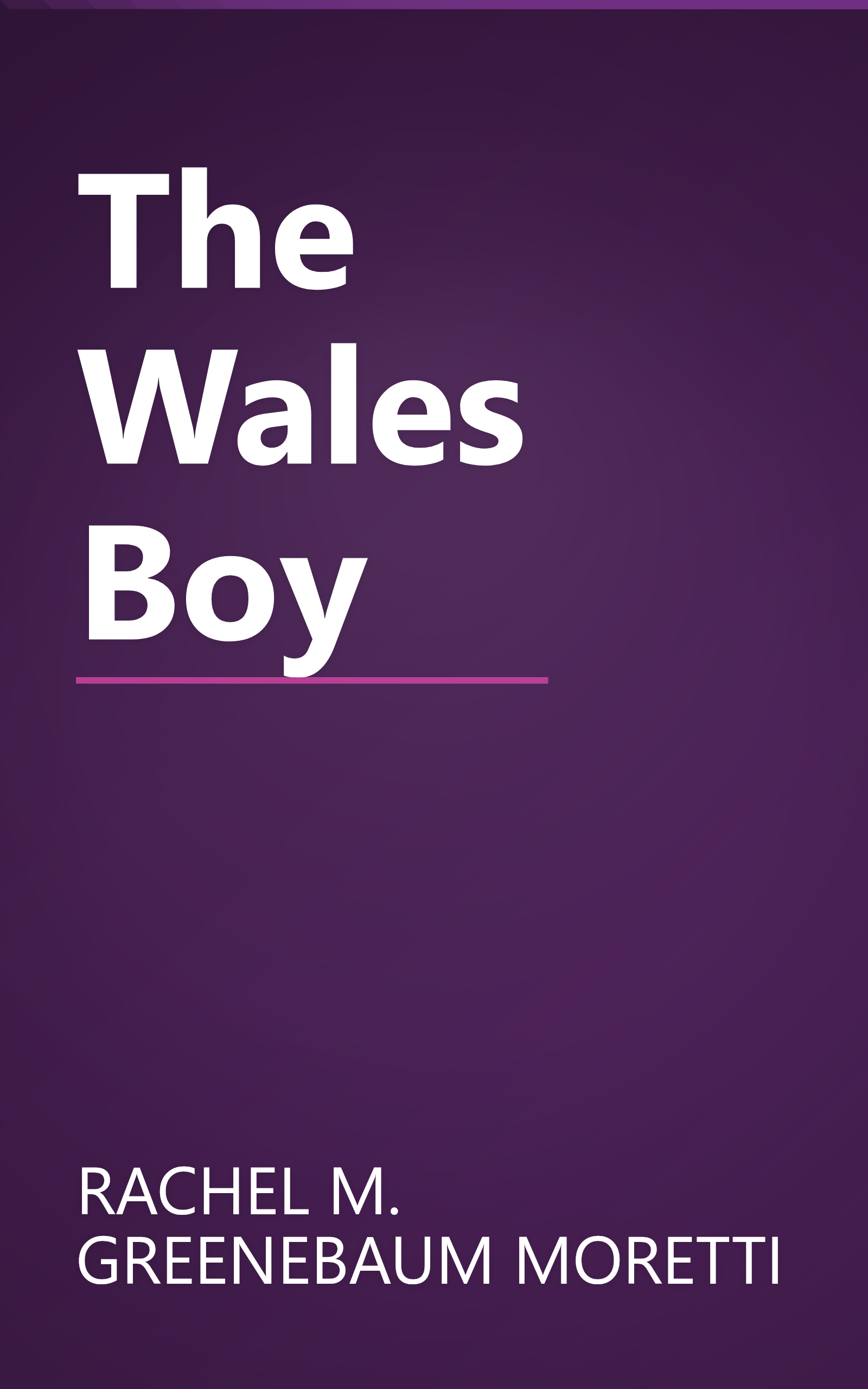 The Wales Boy book cover
