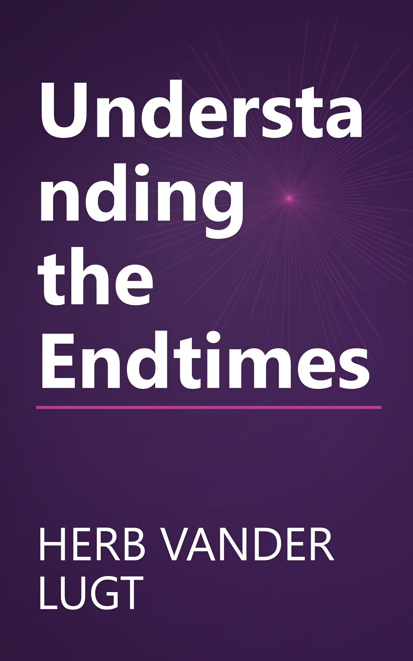 Understanding the Endtimes book cover