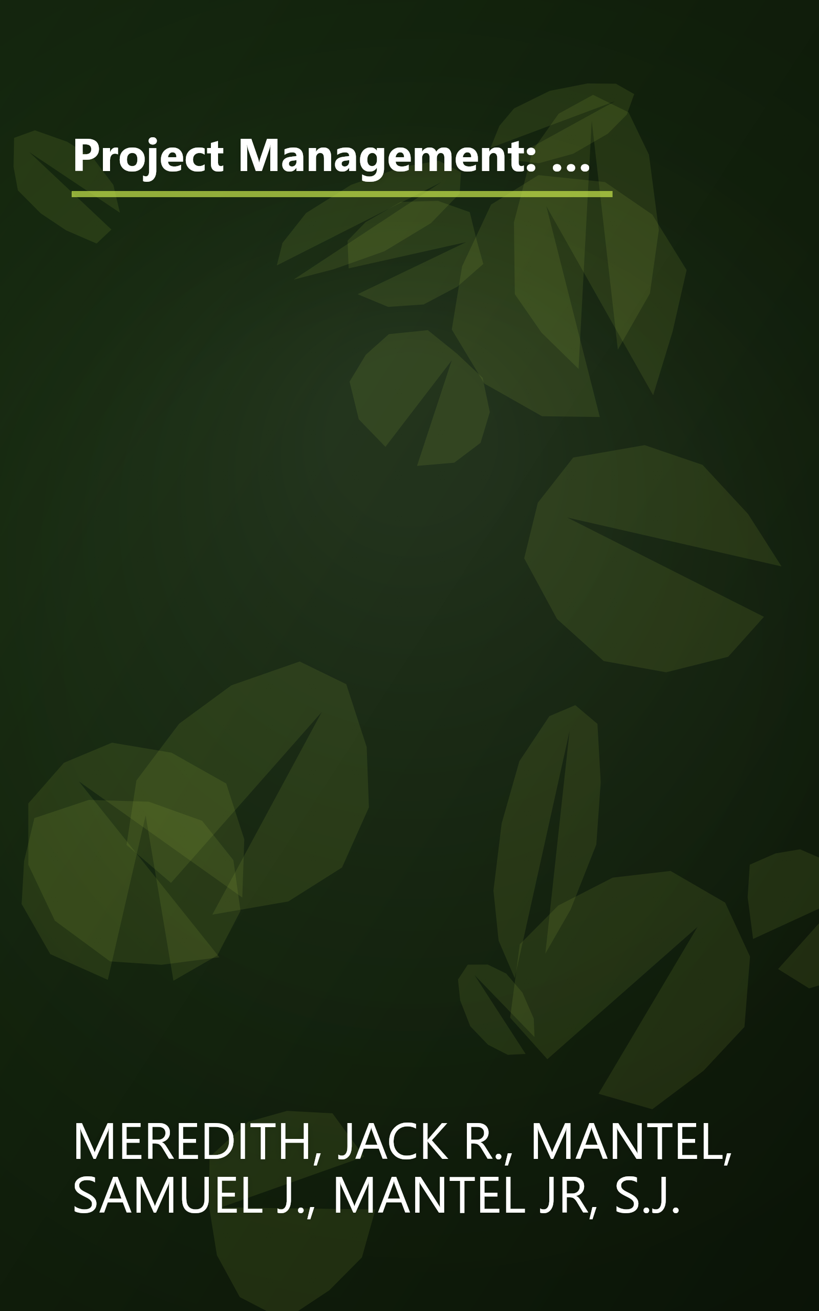 Project Management: A Managerial Approach (Wiley Series in Production/Operations Management) book cover