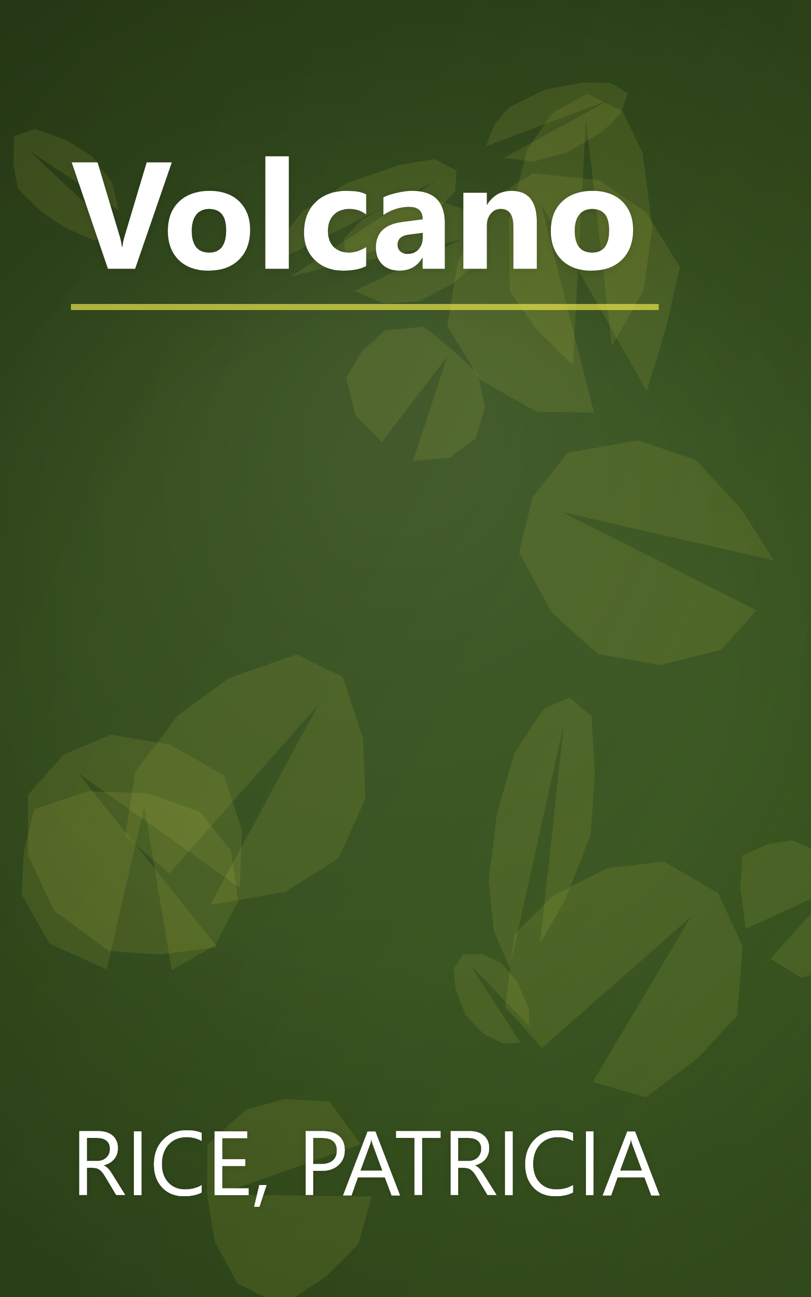 Volcano book cover