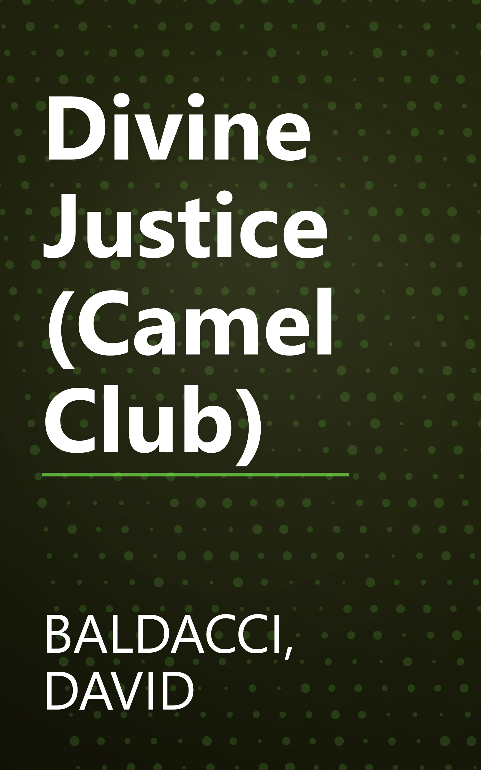 Divine Justice (Camel Club) book cover