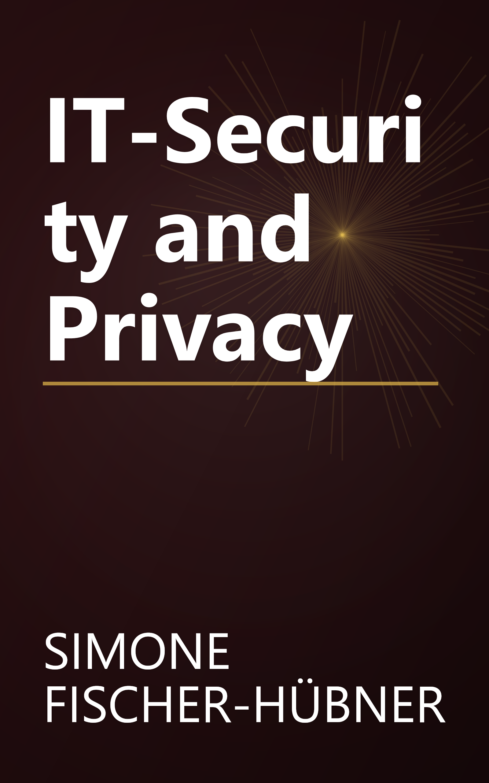 IT-Security and Privacy book cover