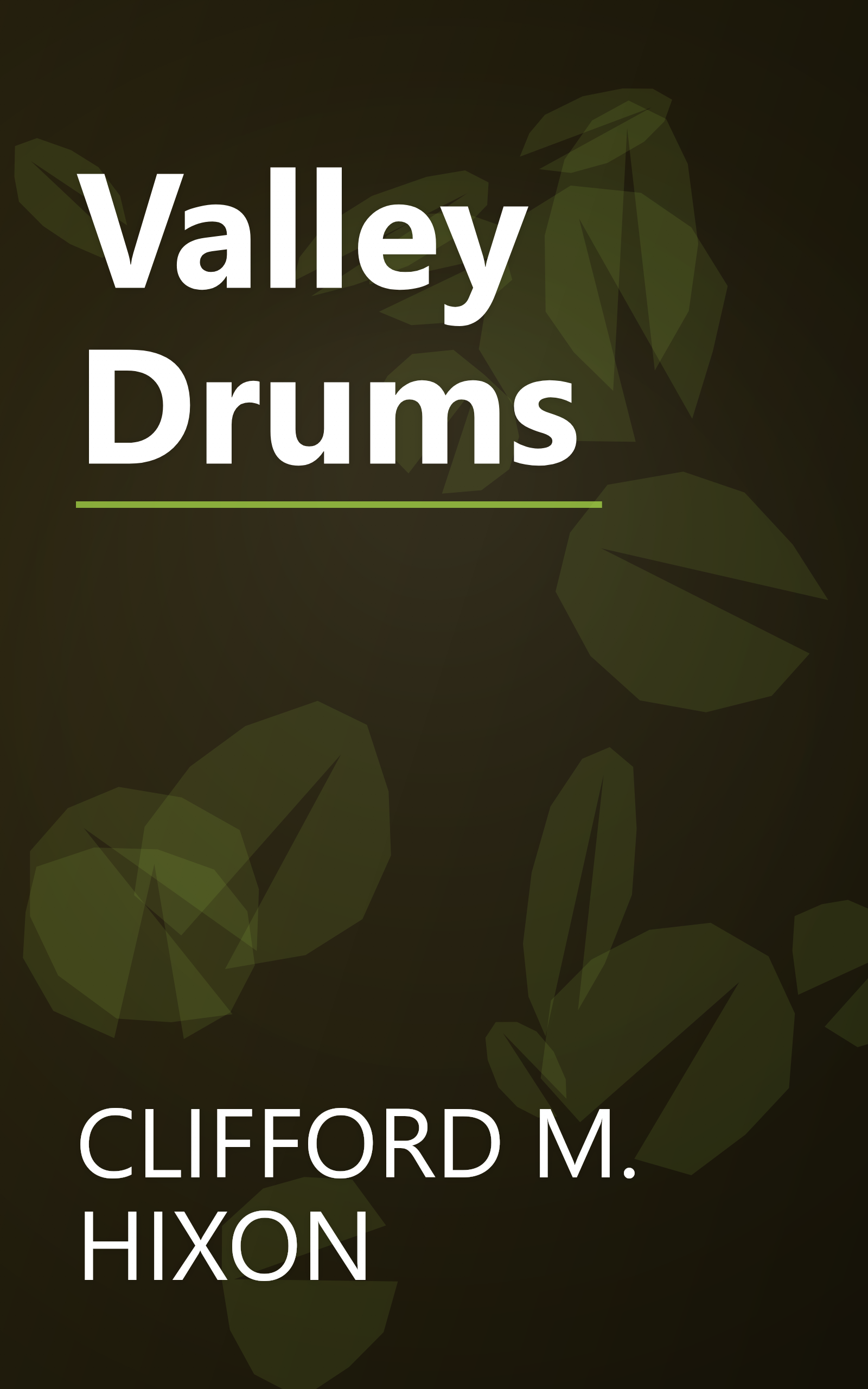 Valley Drums book cover