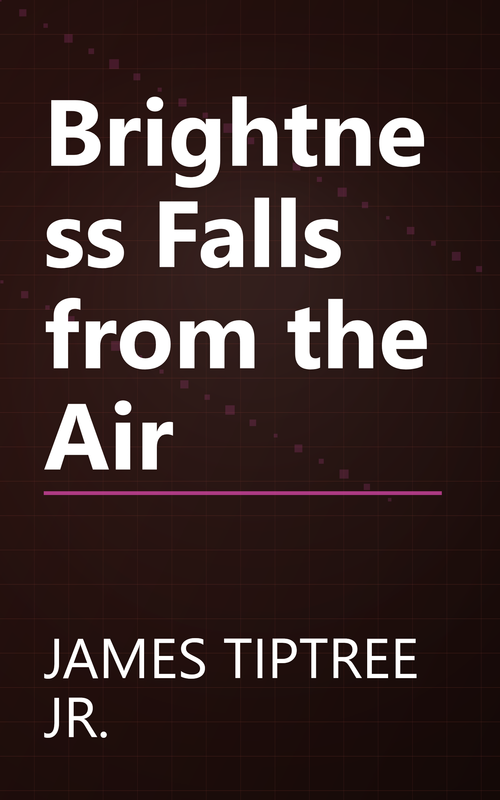 Brightness Falls from the Air book cover