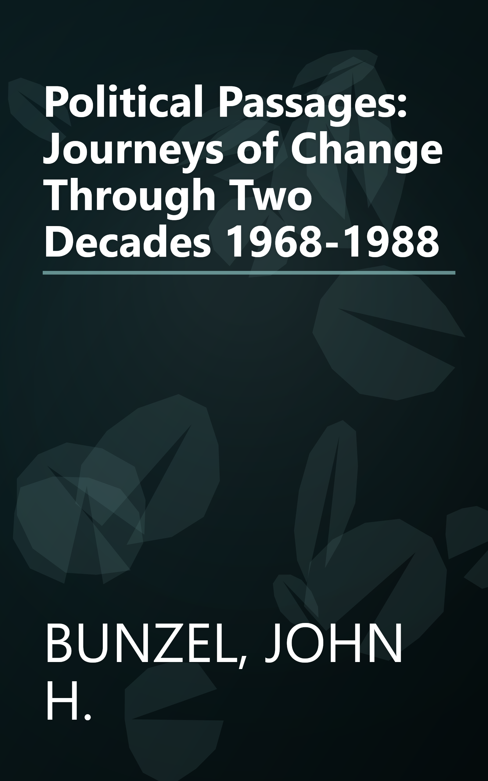 Political Passages: Journeys of Change Through Two Decades 1968-1988 book cover