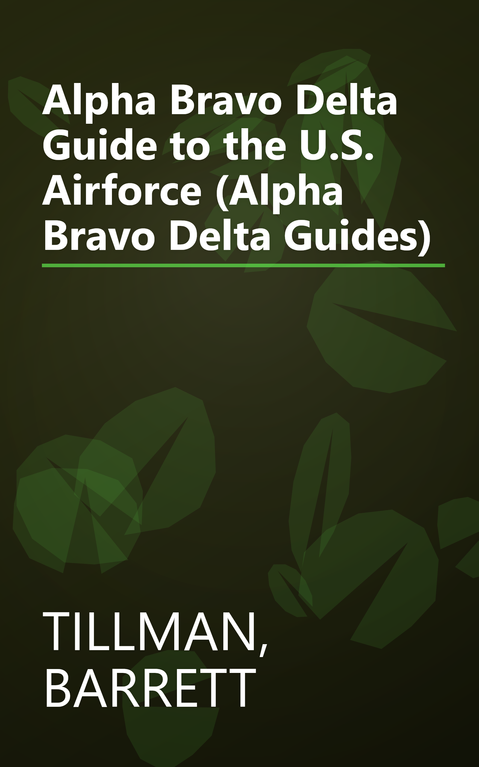 Alpha Bravo Delta Guide to the U.S. Airforce (Alpha Bravo Delta Guides) book cover