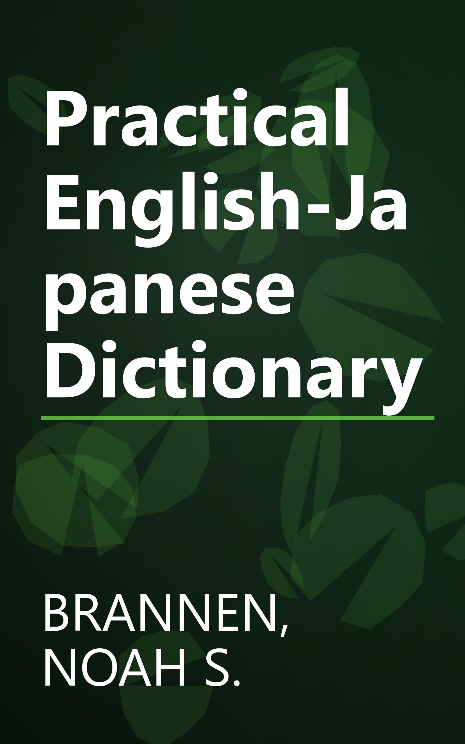 Practical English-Japanese Dictionary book cover
