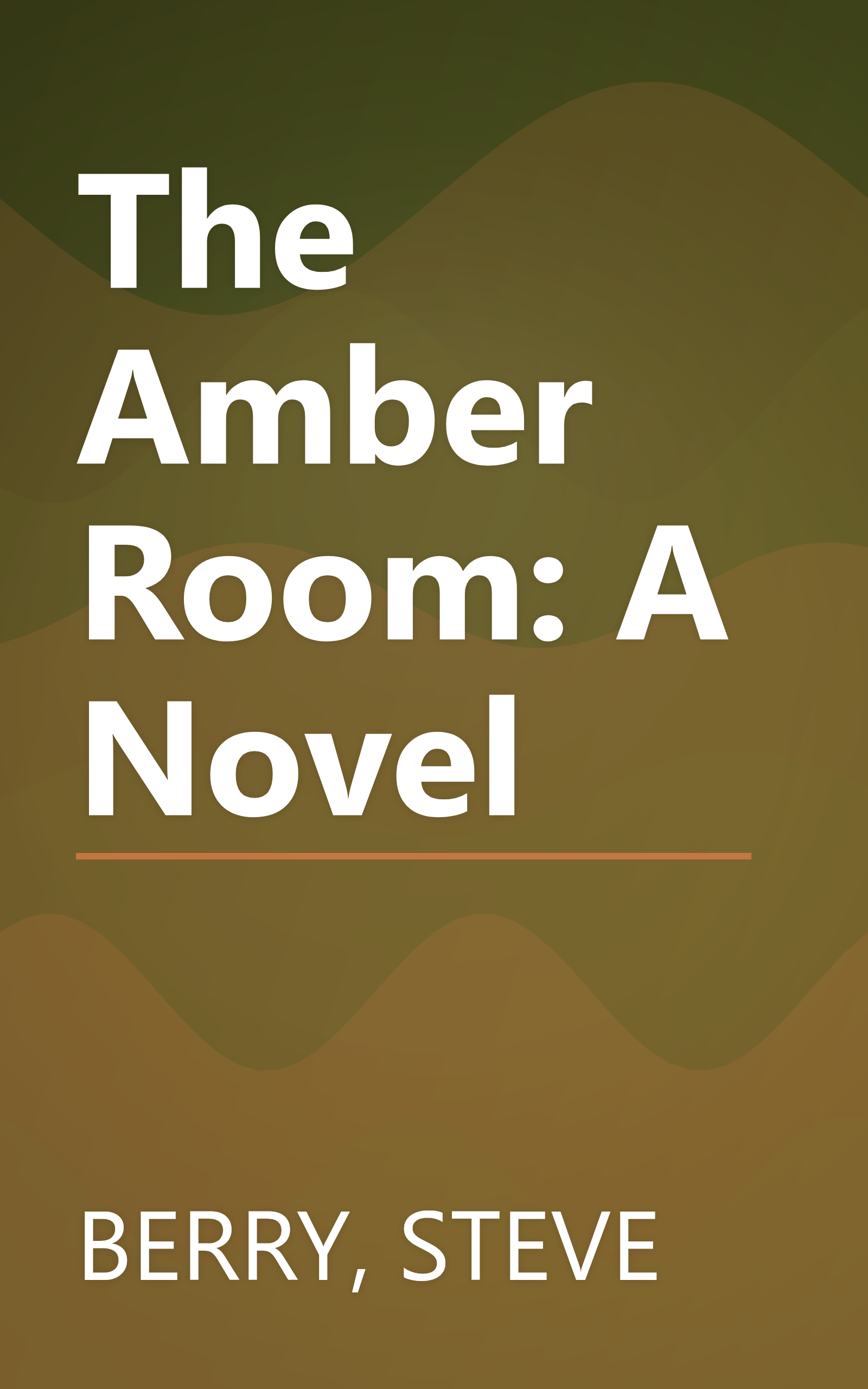 The Amber Room: A Novel book cover