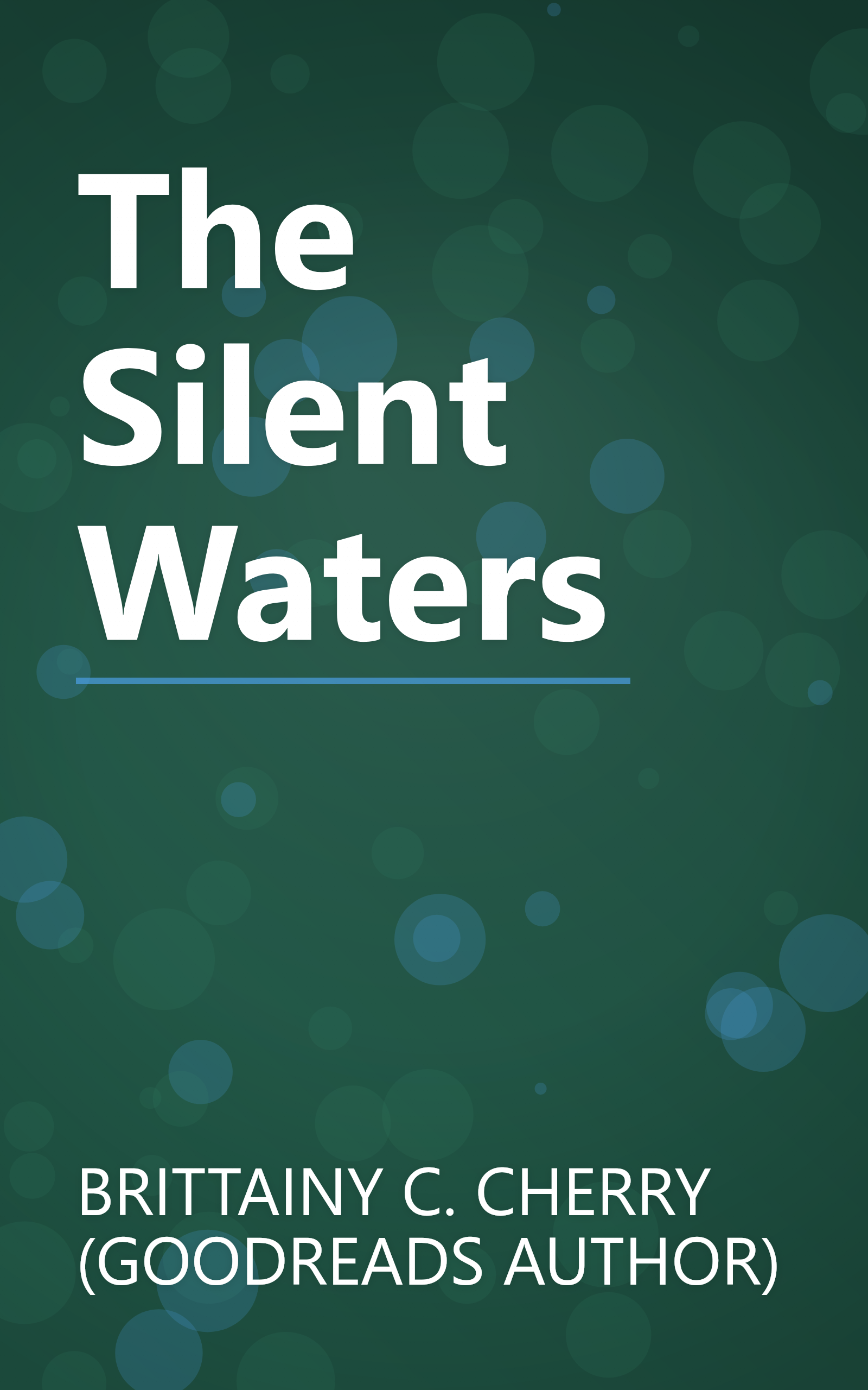 The Silent Waters book cover