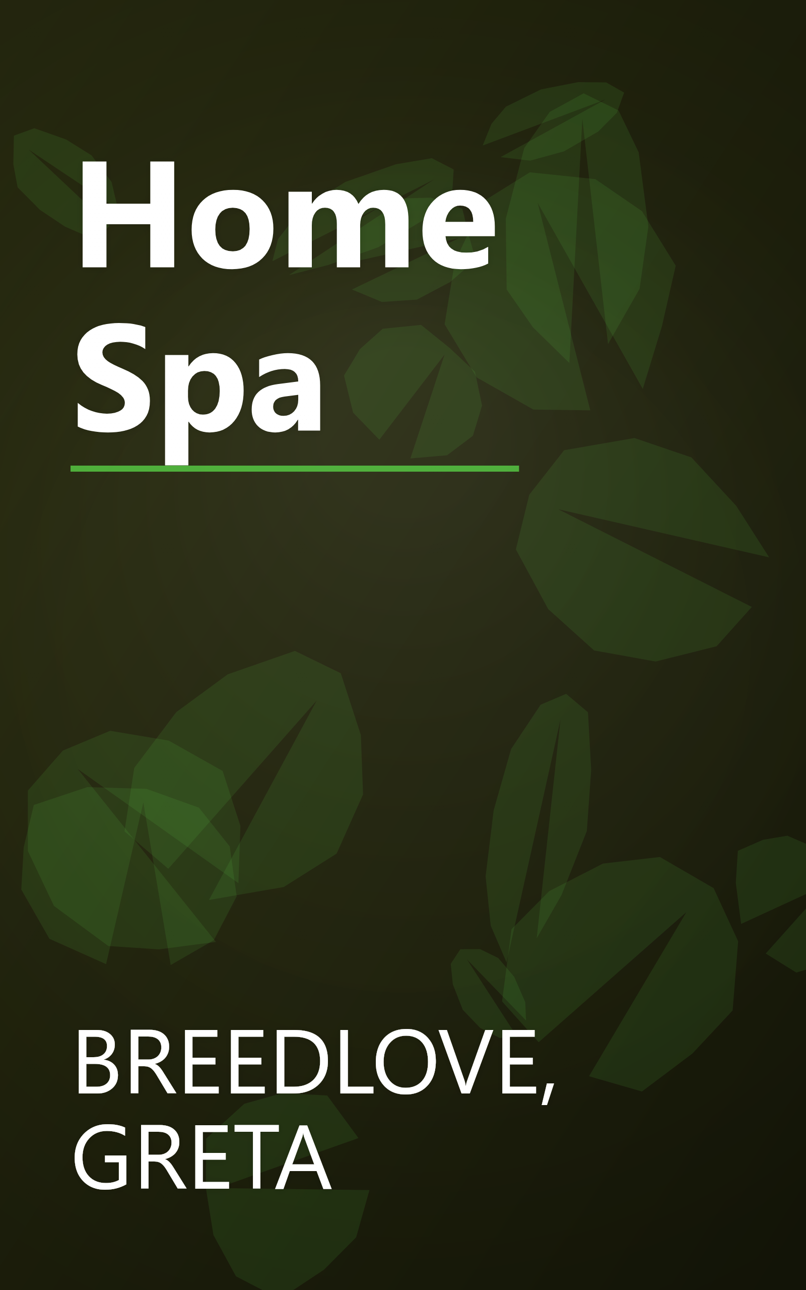 Home Spa book cover
