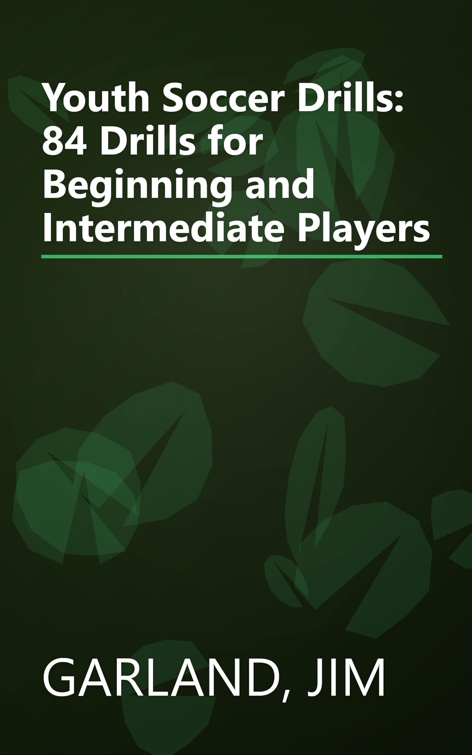 Youth Soccer Drills: 84 Drills for Beginning and Intermediate Players book cover