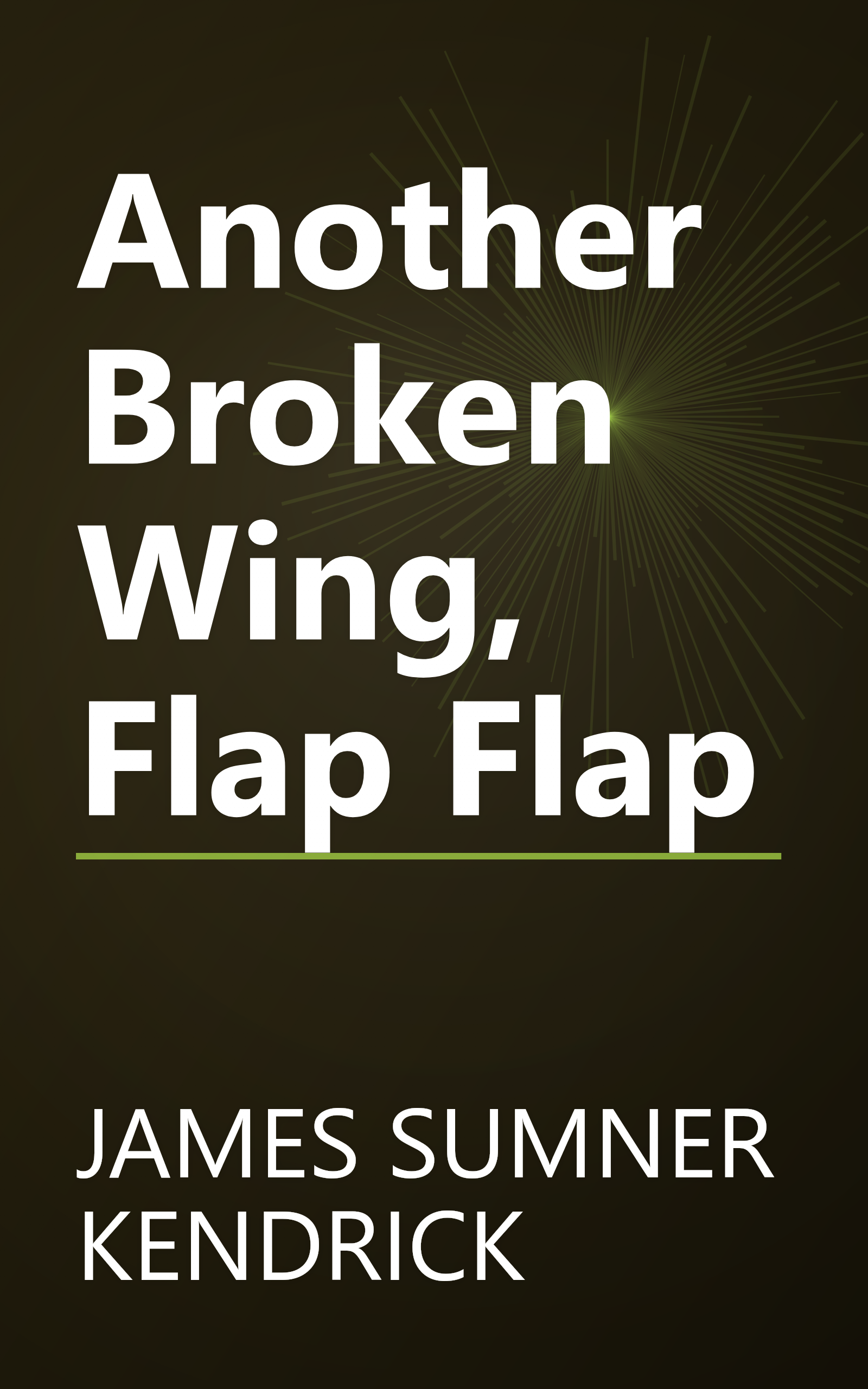 Another Broken Wing, Flap Flap book cover