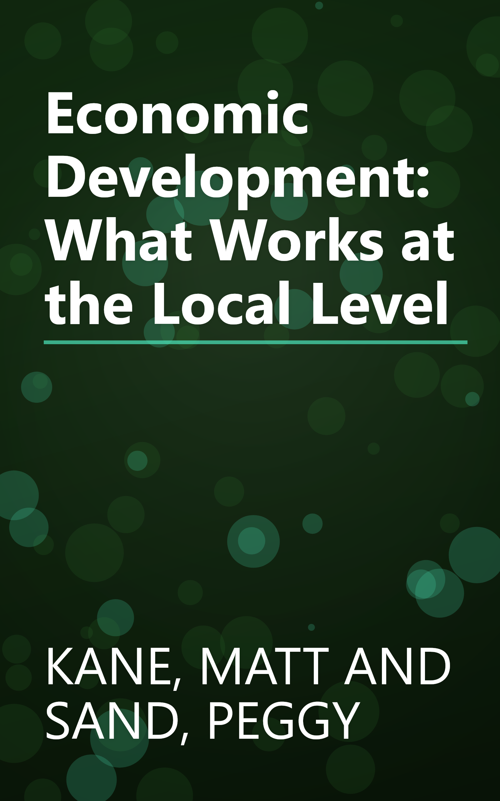 Economic Development: What Works at the Local Level book cover