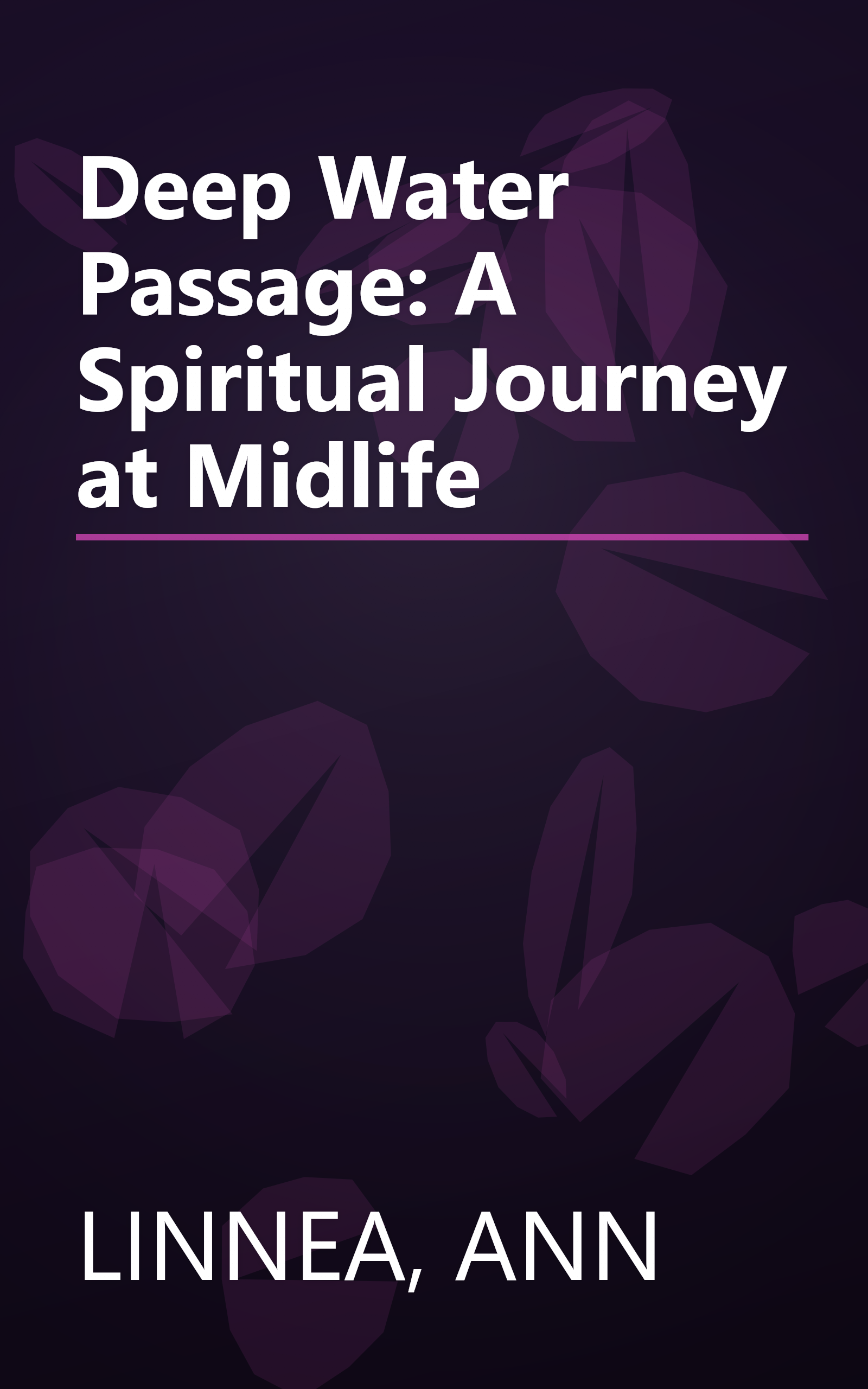 Deep Water Passage: A Spiritual Journey at Midlife book cover