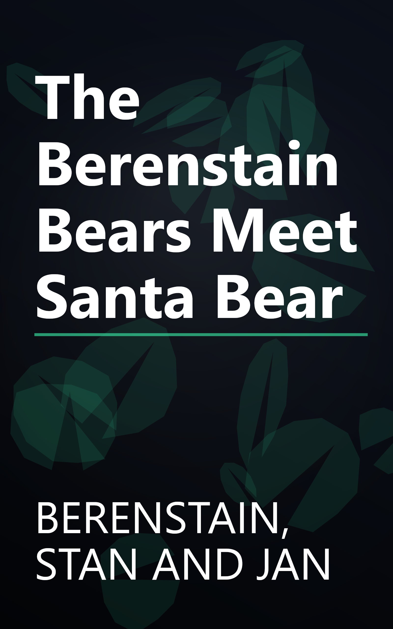 The Berenstain Bears Meet Santa Bear book cover