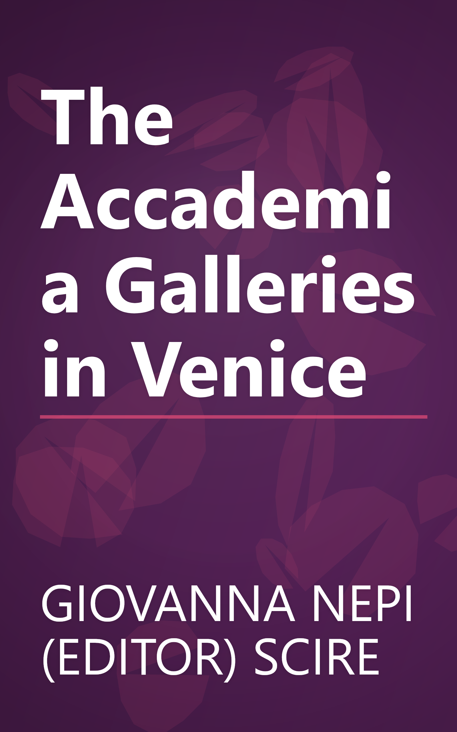 The Accademia Galleries in Venice book cover