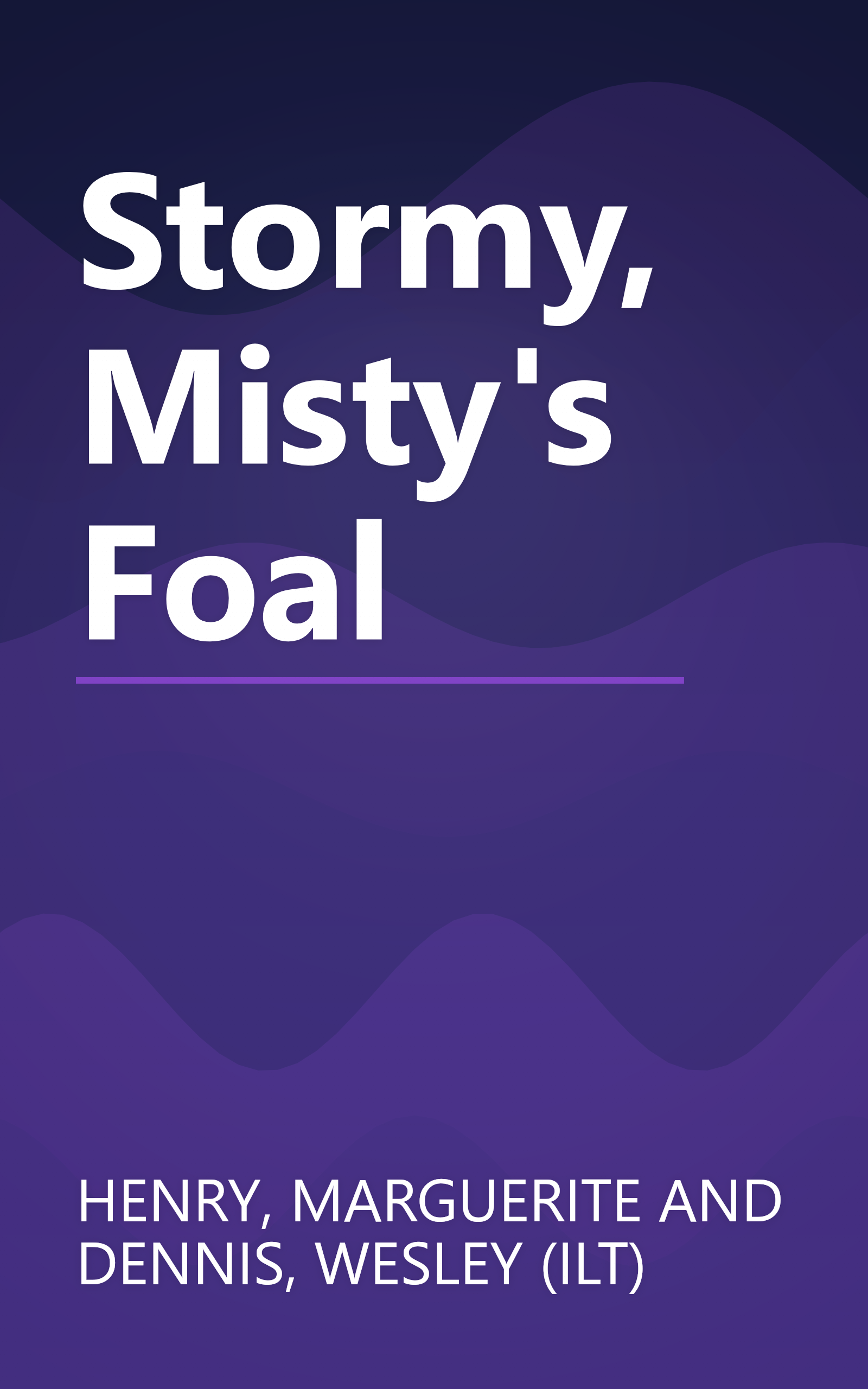 Stormy, Misty's Foal book cover