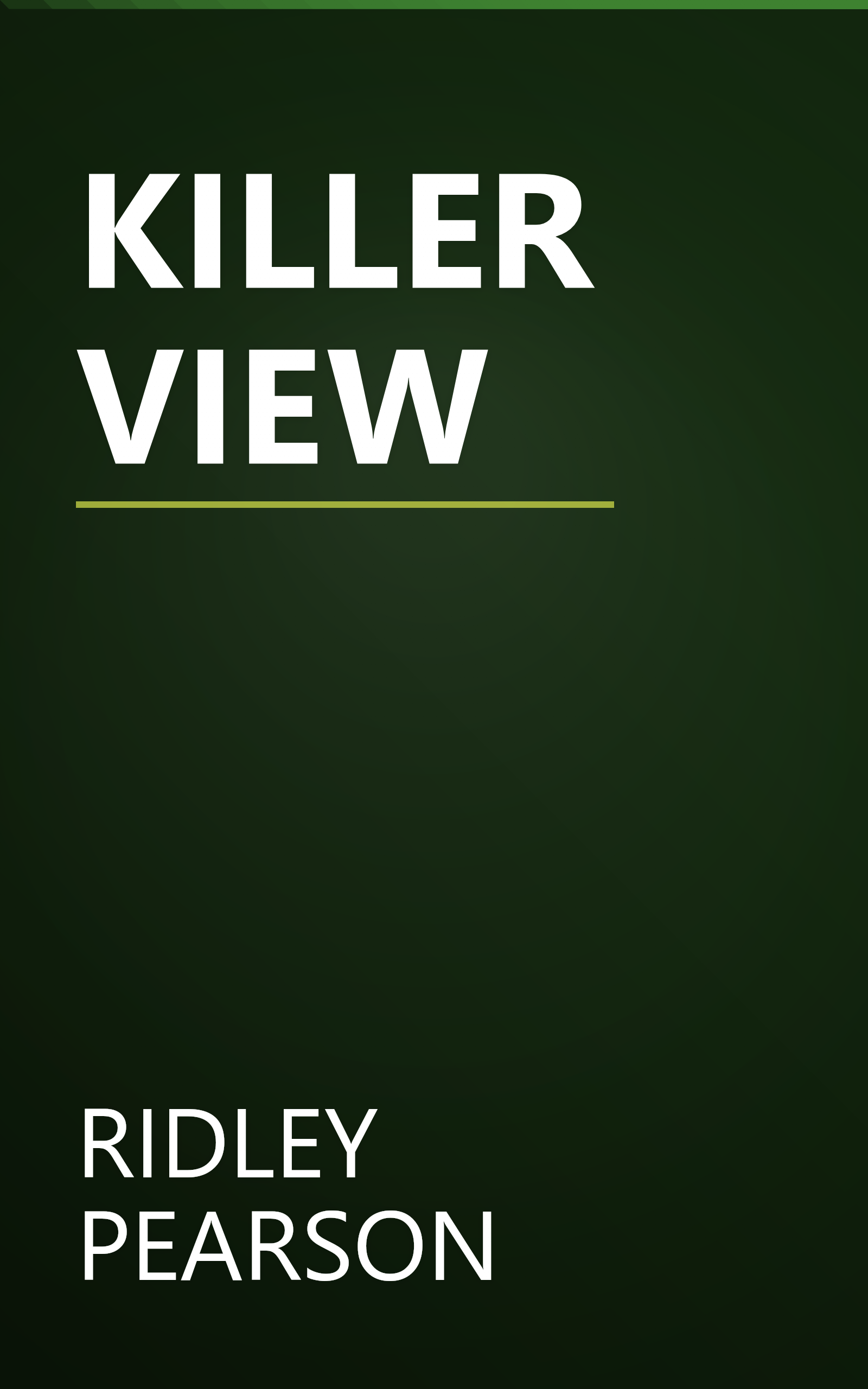KILLER VIEW book cover