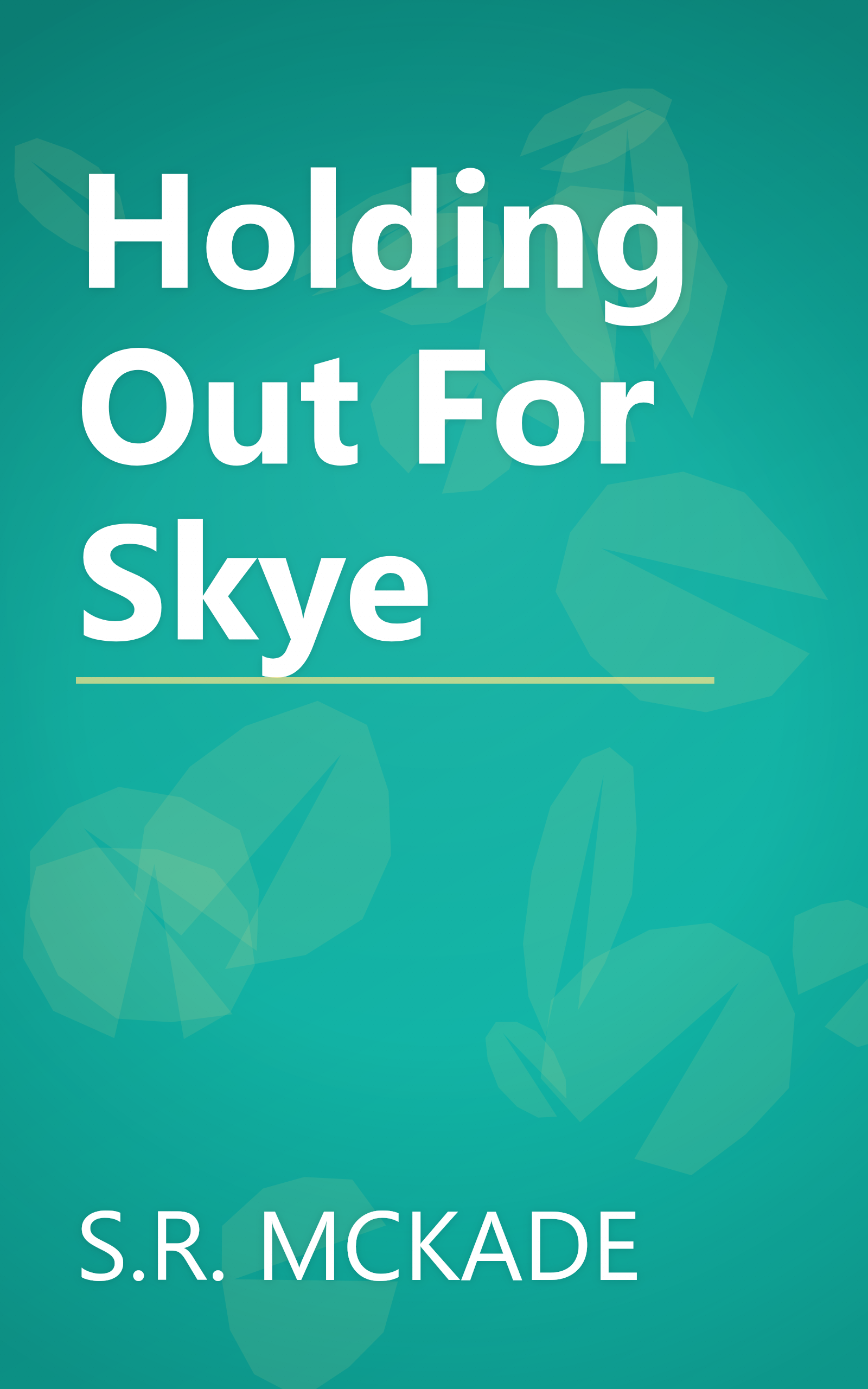 Holding Out For Skye book cover