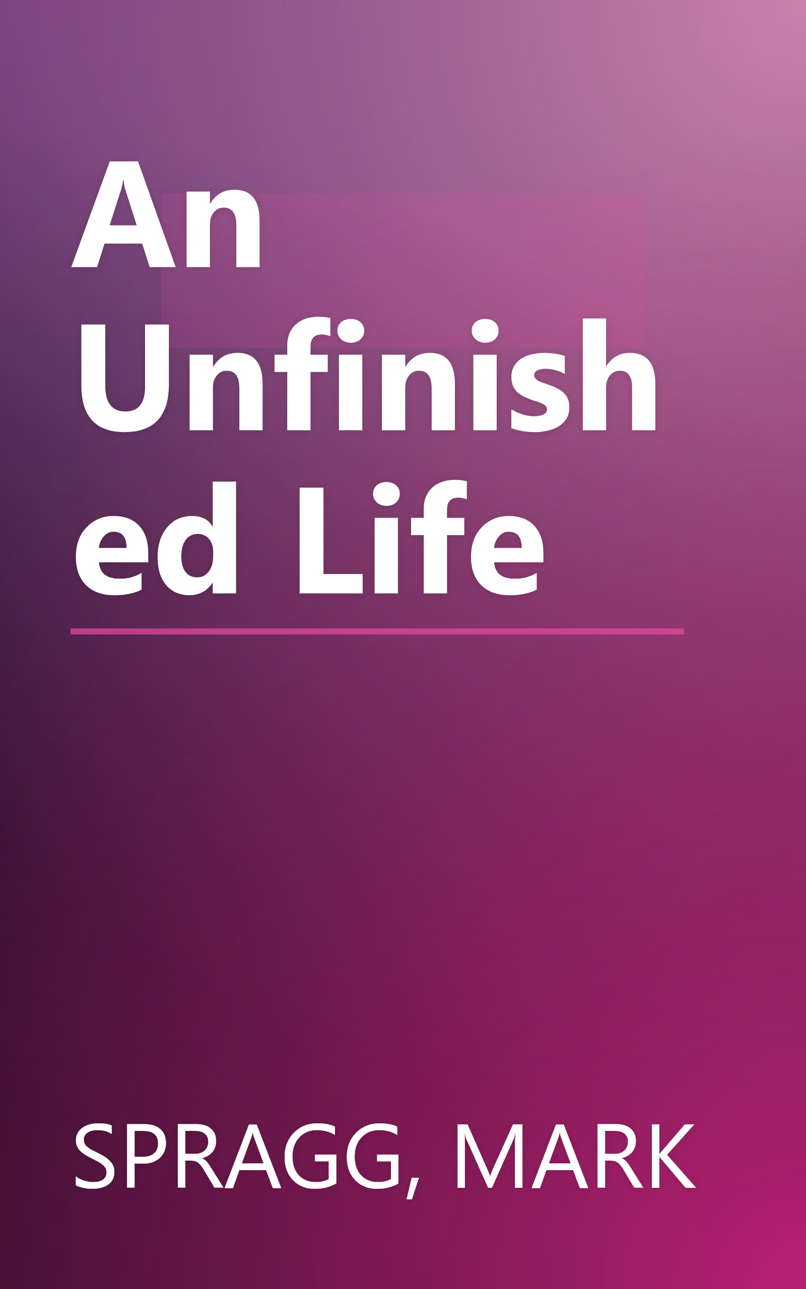 An Unfinished Life book cover