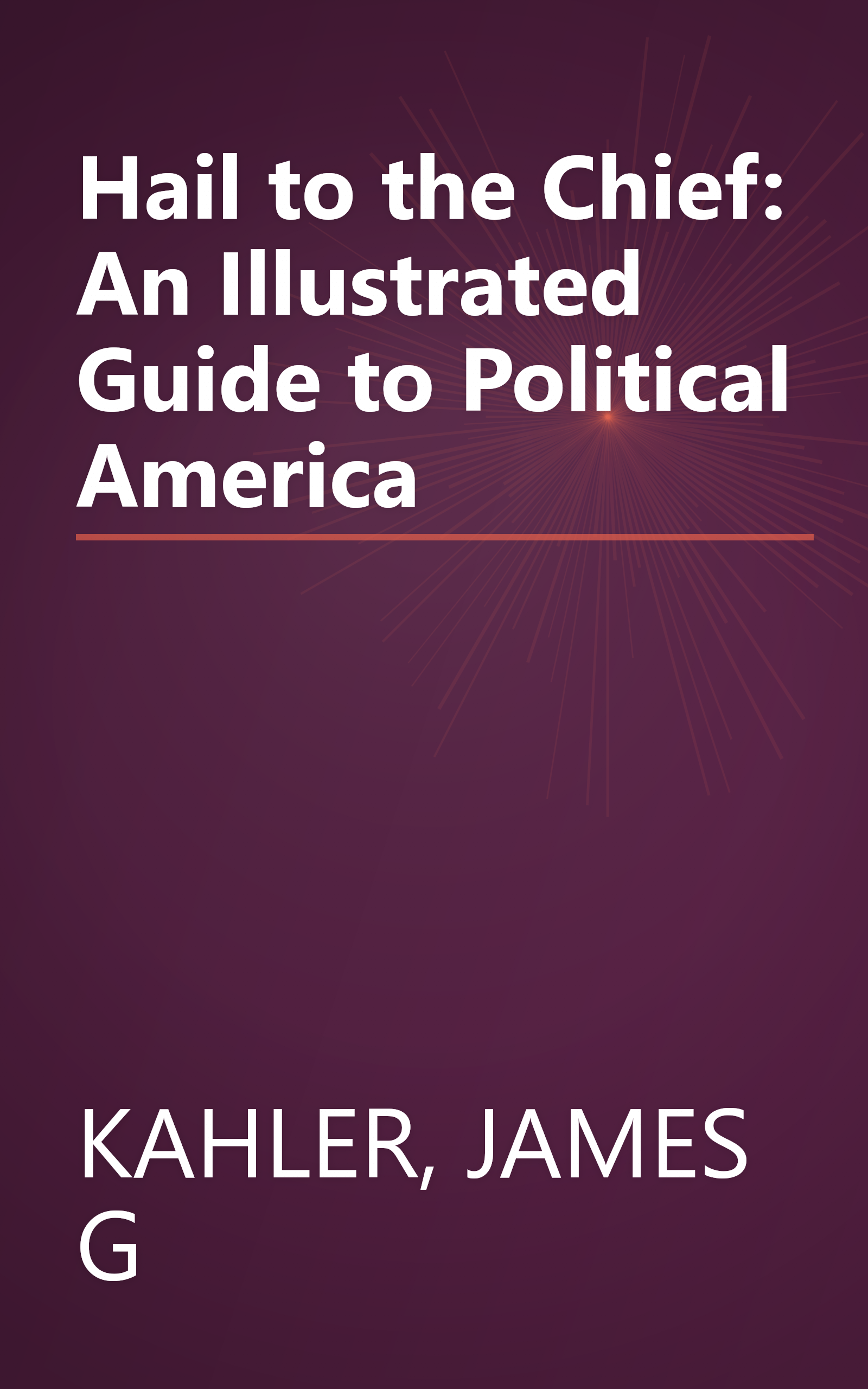 Hail to the Chief: An Illustrated Guide to Political America book cover