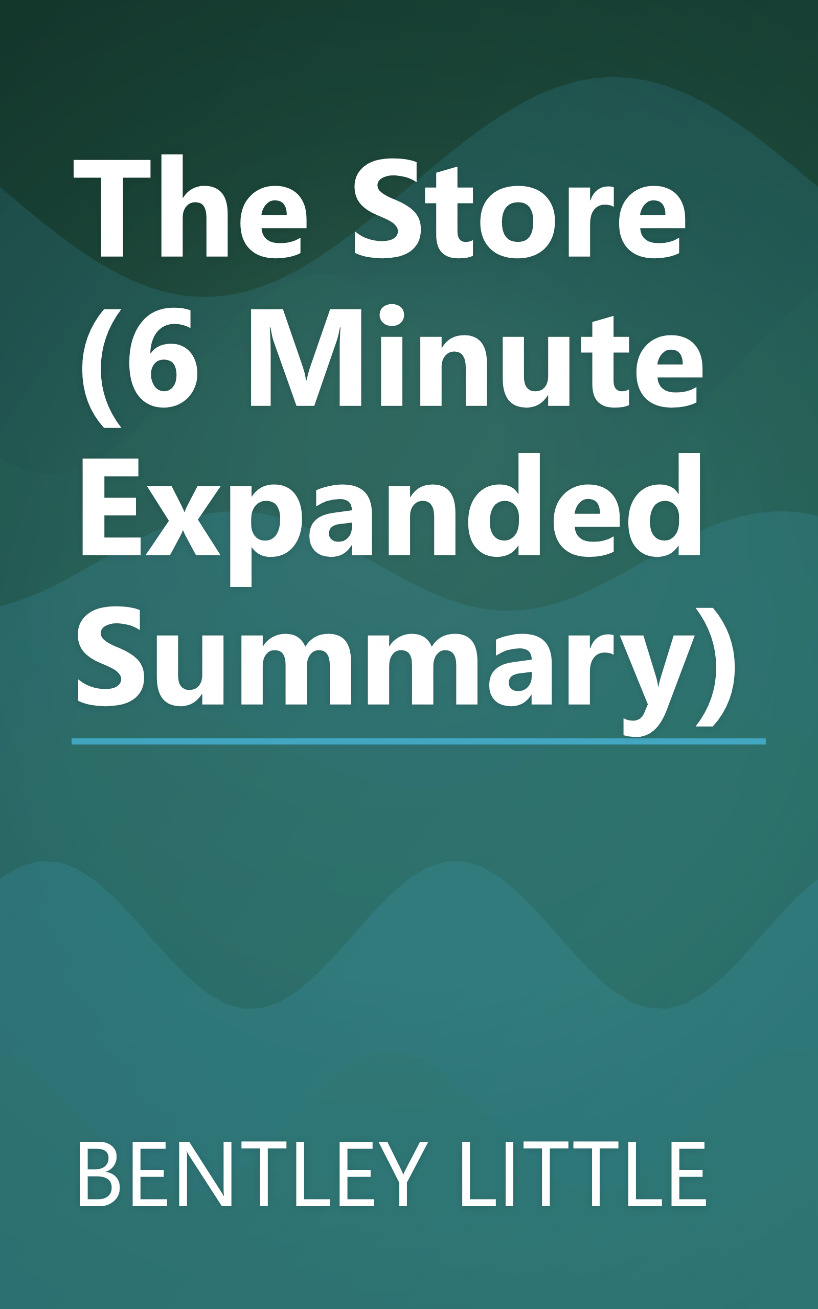 The Store (6 Minute   Expanded Summary) book cover