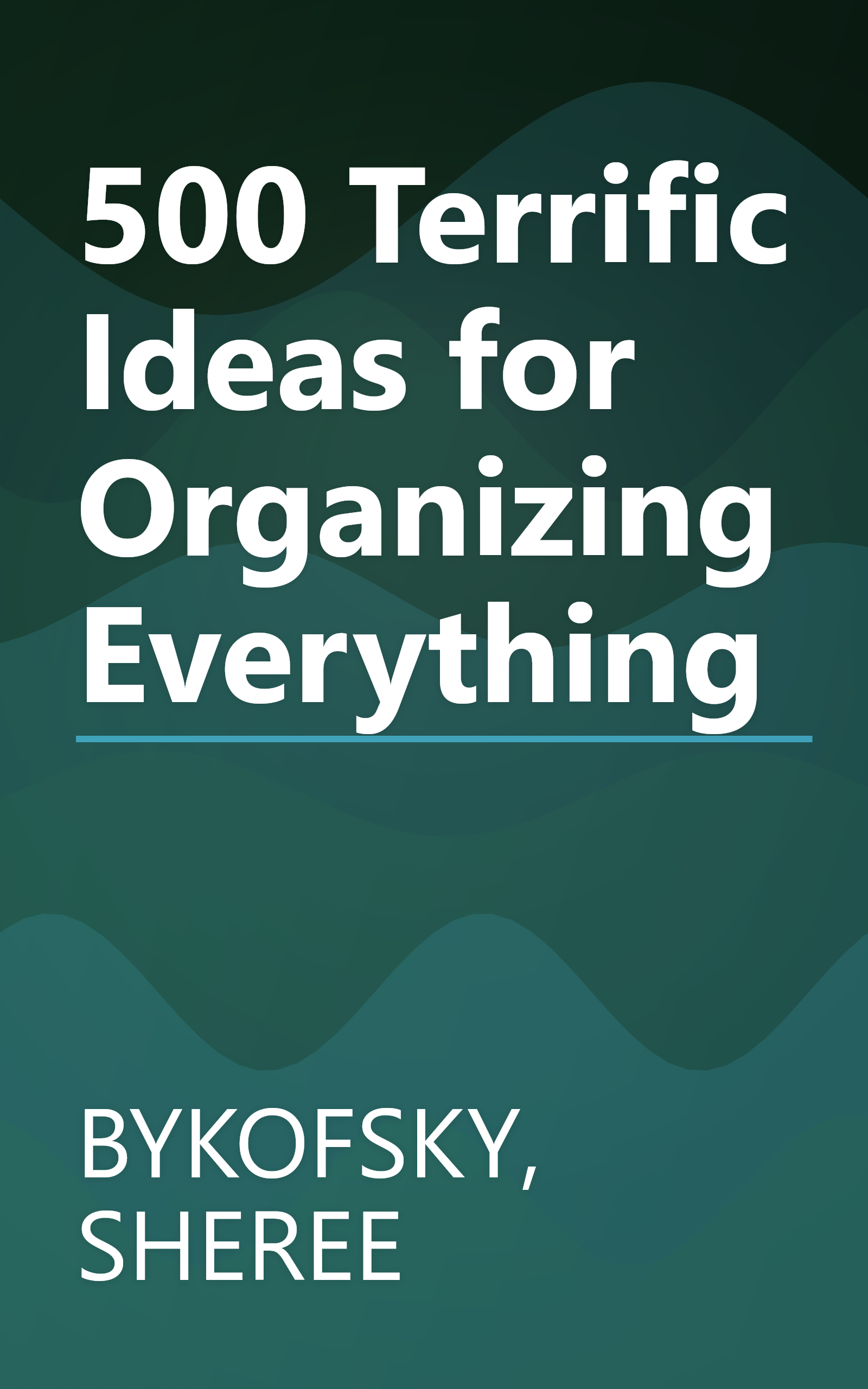 500 Terrific Ideas for Organizing Everything book cover