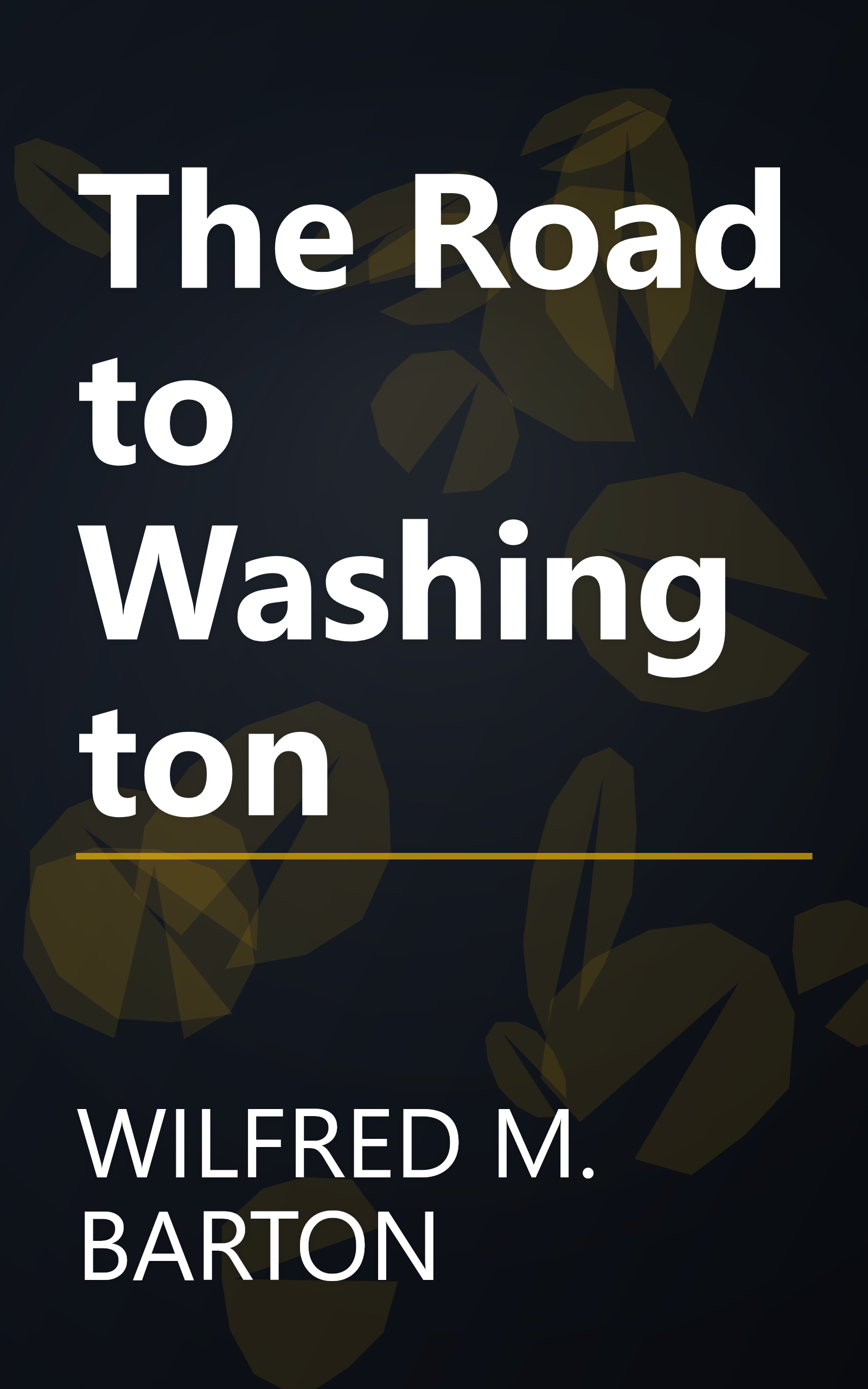 The Road to Washington book cover