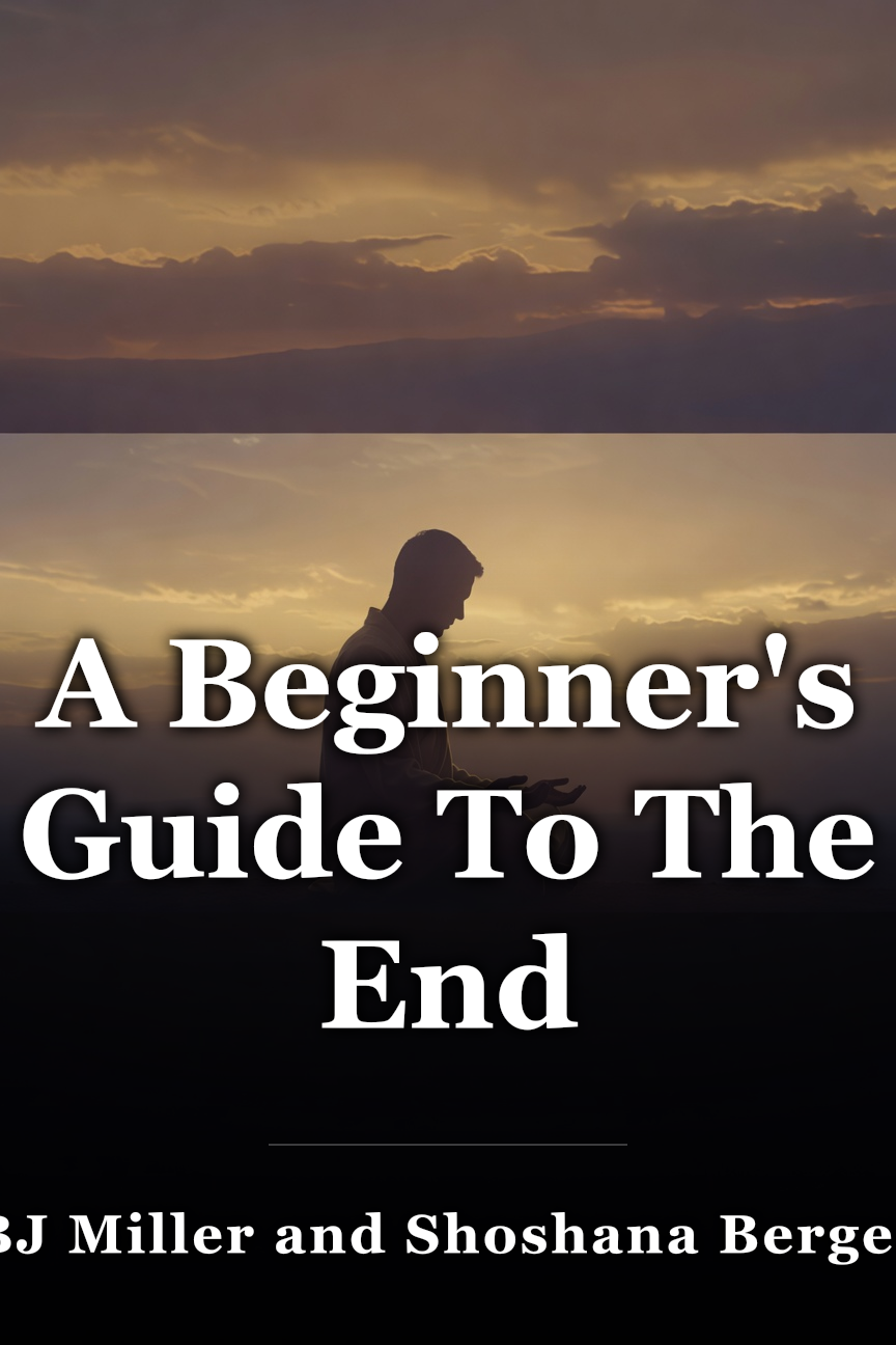 A Beginner's Guide To The End book cover