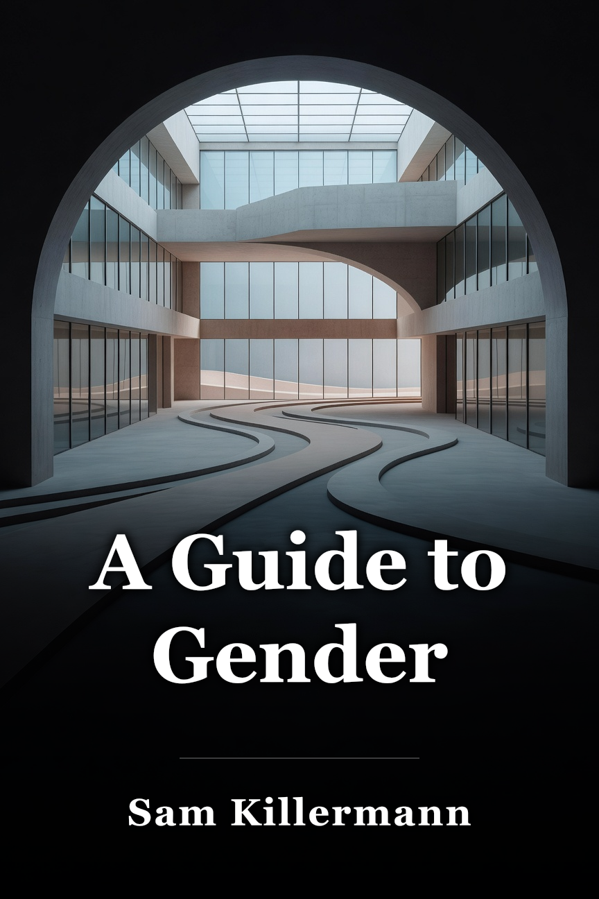 A Guide to Gender book cover