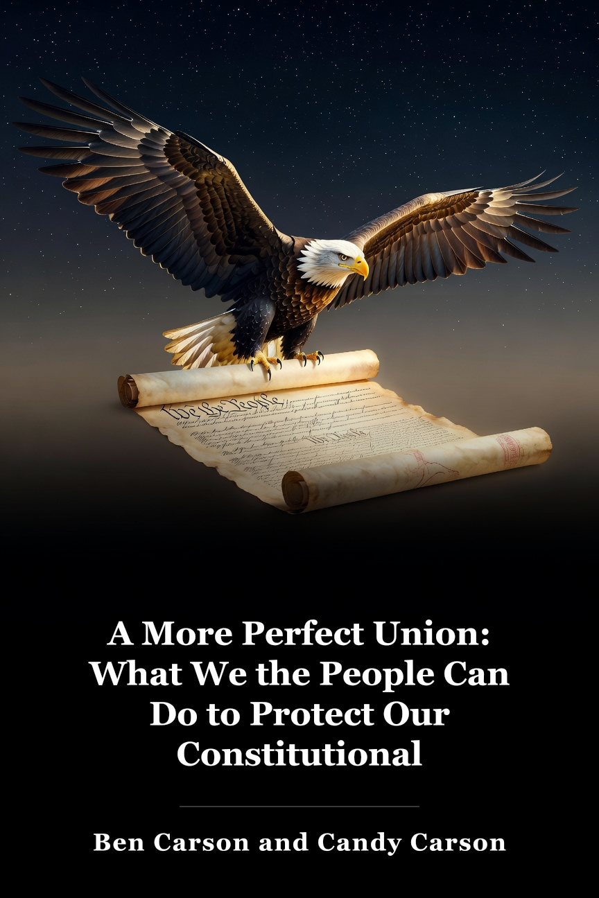 A More Perfect Union: What We the People Can Do to Protect Our Constitutional Liberties book cover