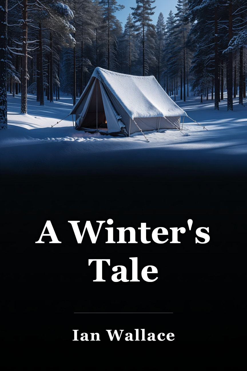 A Winter's Tale book cover