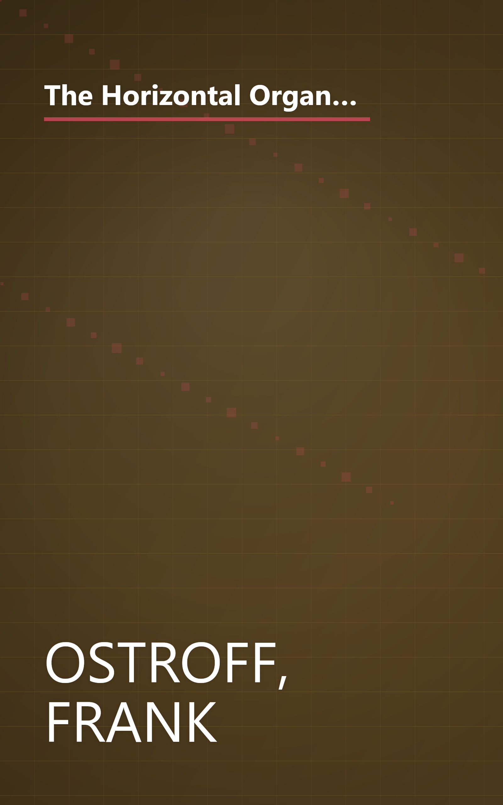 The Horizontal Organization : What the Organization of the Future Actually Looks Like and How it Delivers Value to Customers book cover