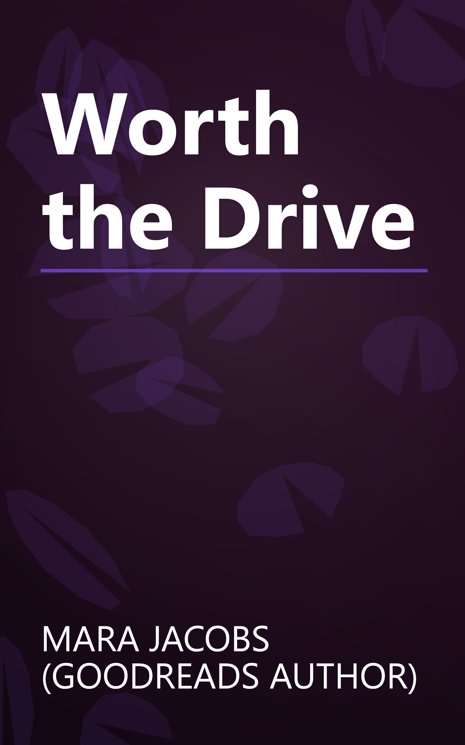 Worth the Drive book cover