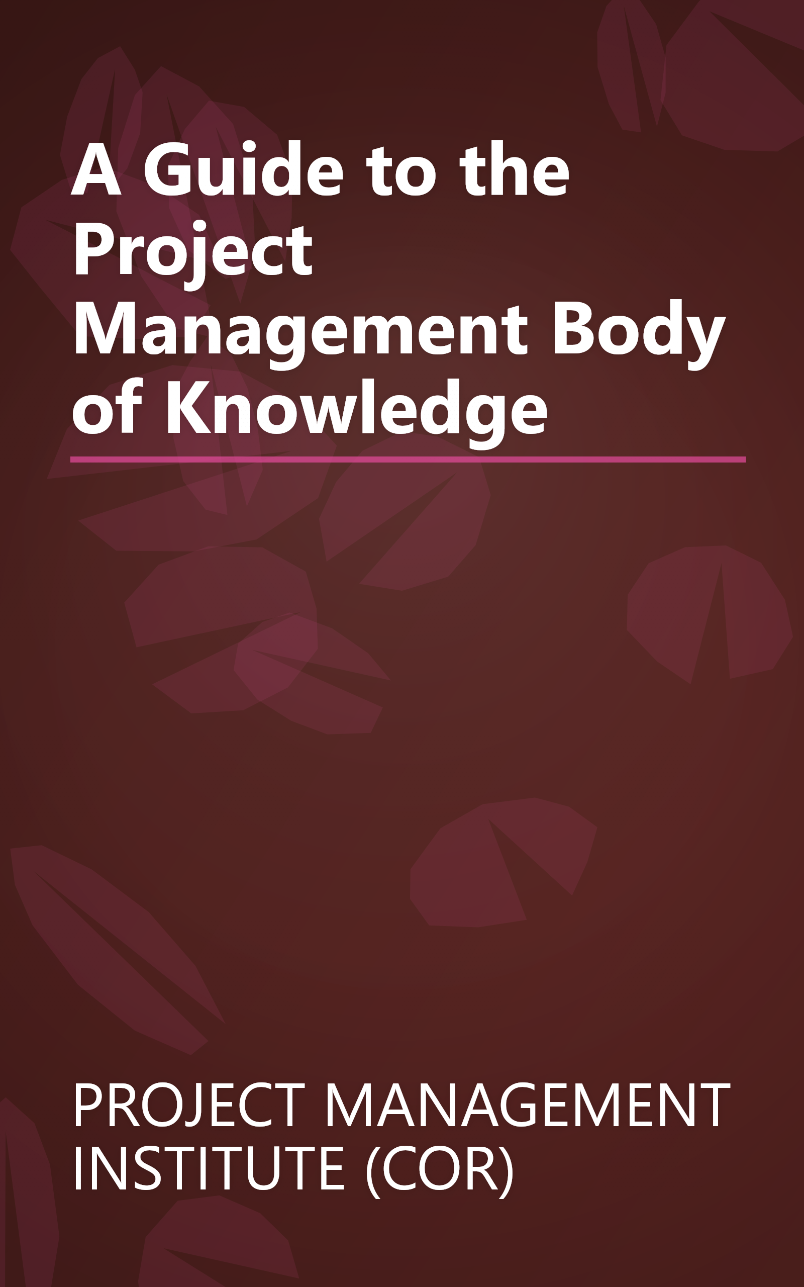 A Guide to the Project Management Body of Knowledge book cover